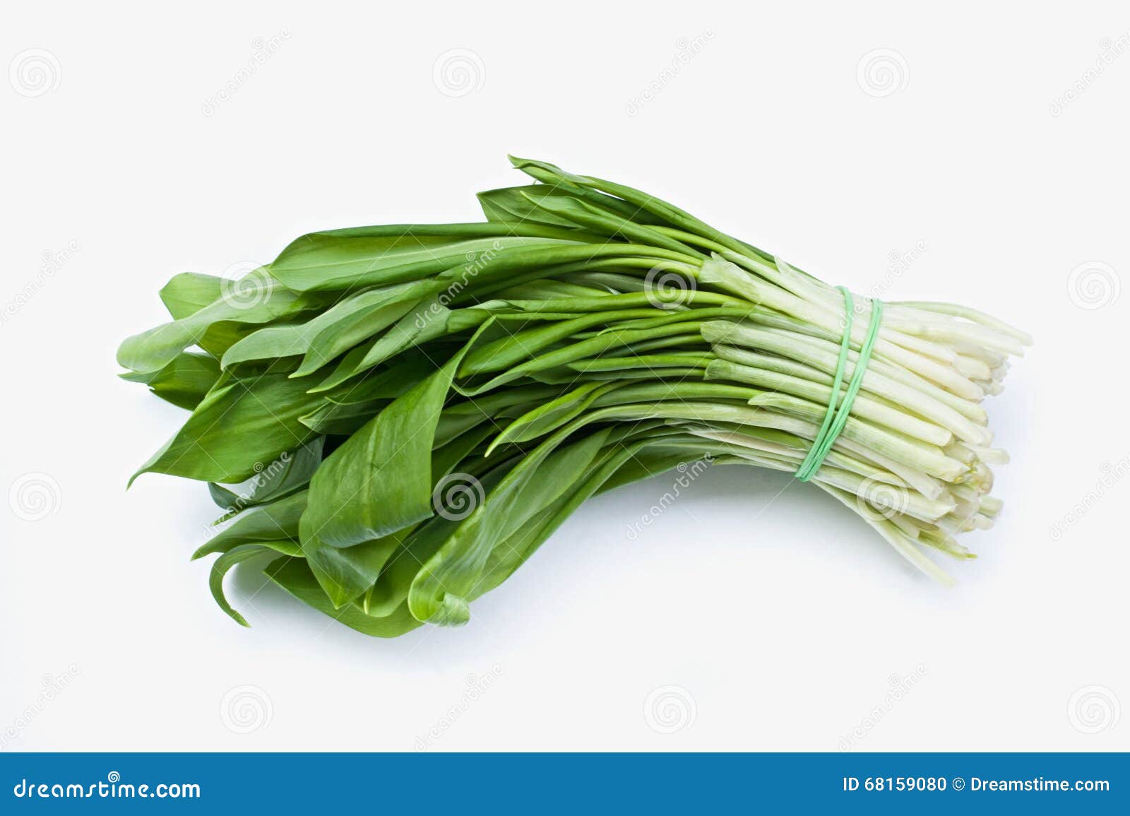 Ramson arkivfoto. Bild av sallad, vitt, grön, skiva, vegetarisk - 68159080