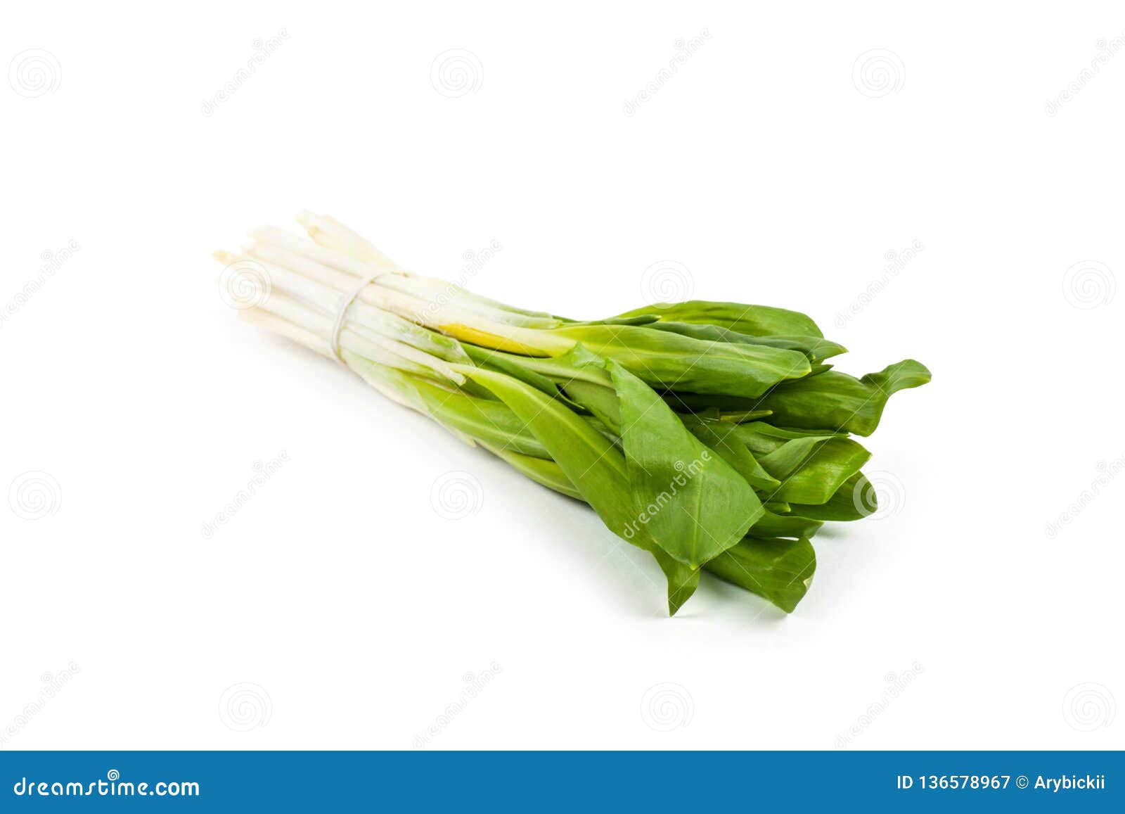 Ramson bunch vegetable stock image. Image of macro, spice - 136578967