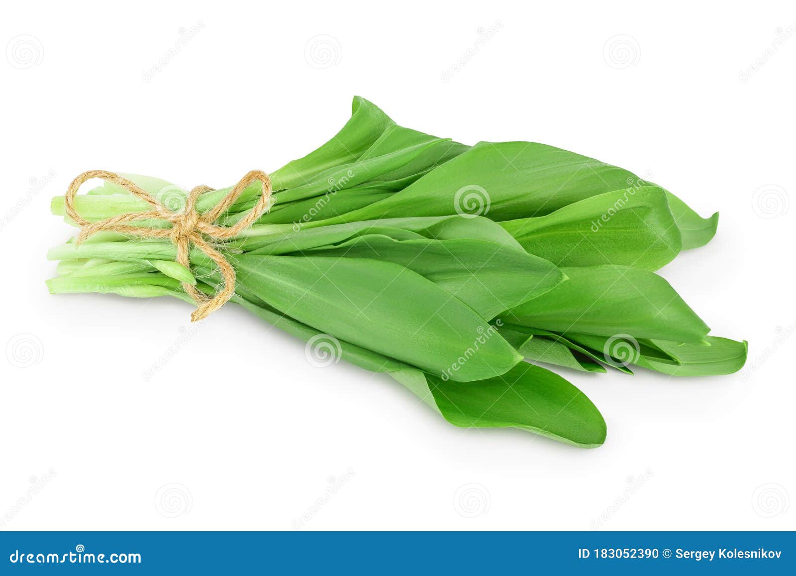 Ramson Bunch Vegetable Isolated on White Background with Clipping Path ...