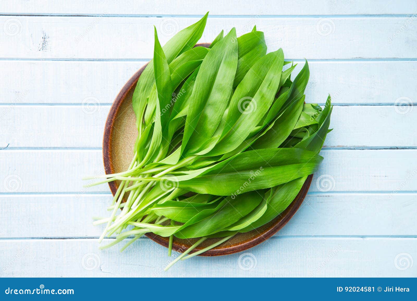 Ramson or Wild Garlic Leaves Stock Image - Image of aromatic, salad ...