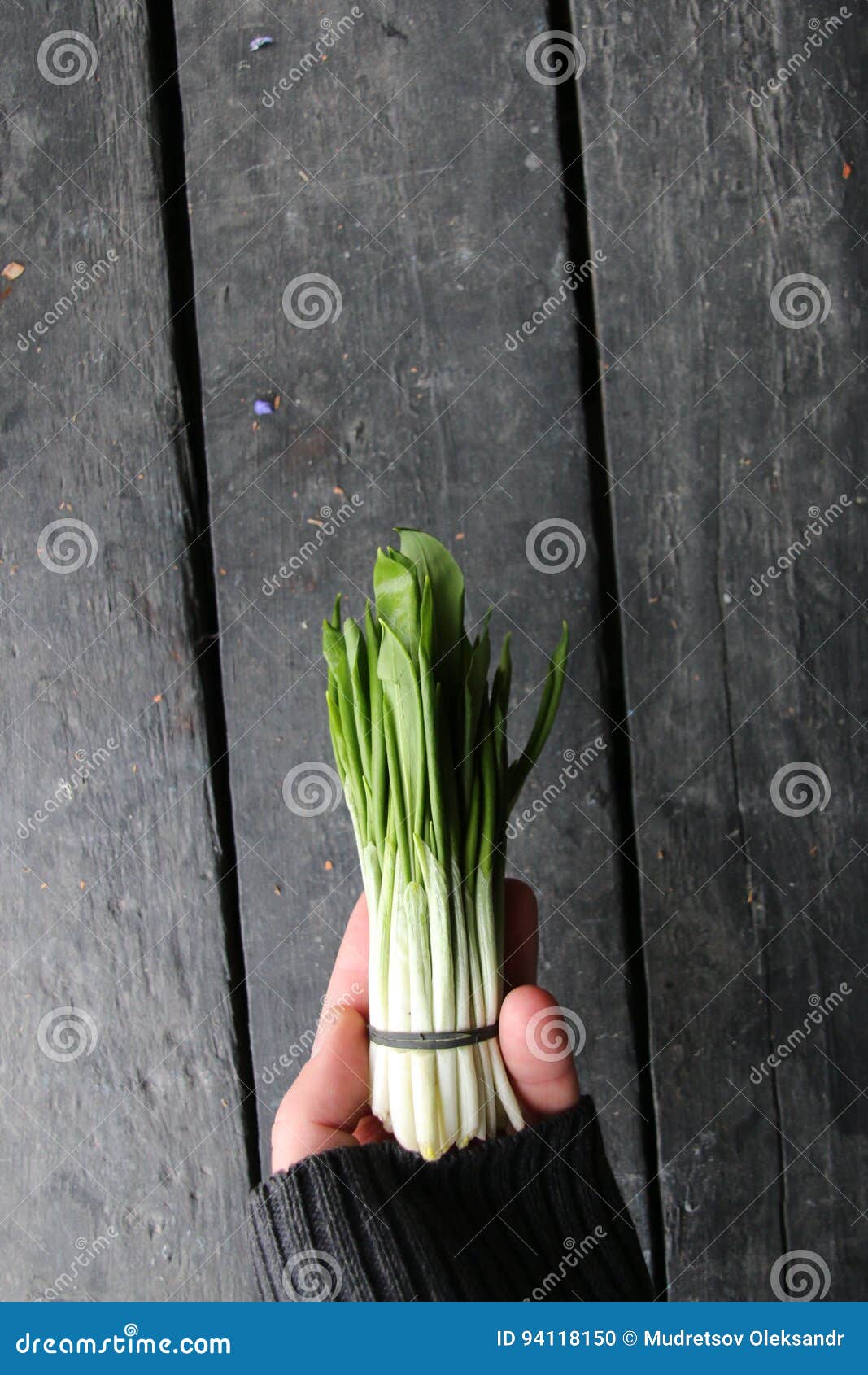 Ramson or wild garlic stock photo. Image of product, food - 94118150