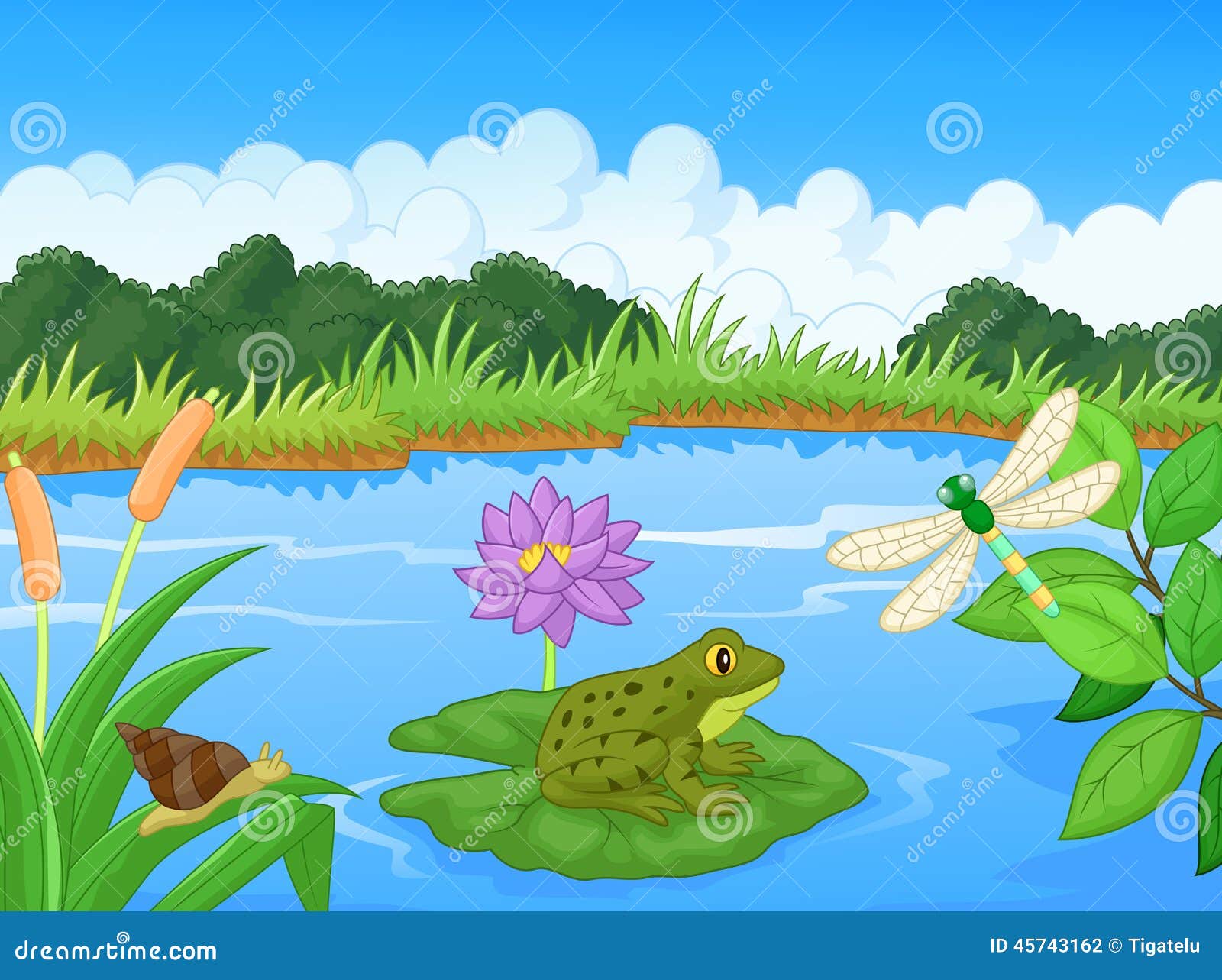 Rana en el río ilustración del vector. Ilustración de animal - 45743162
