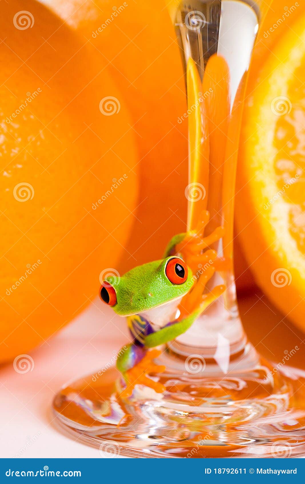 Rana y zumo de naranja imagen de archivo. Imagen de cristal - 18792611