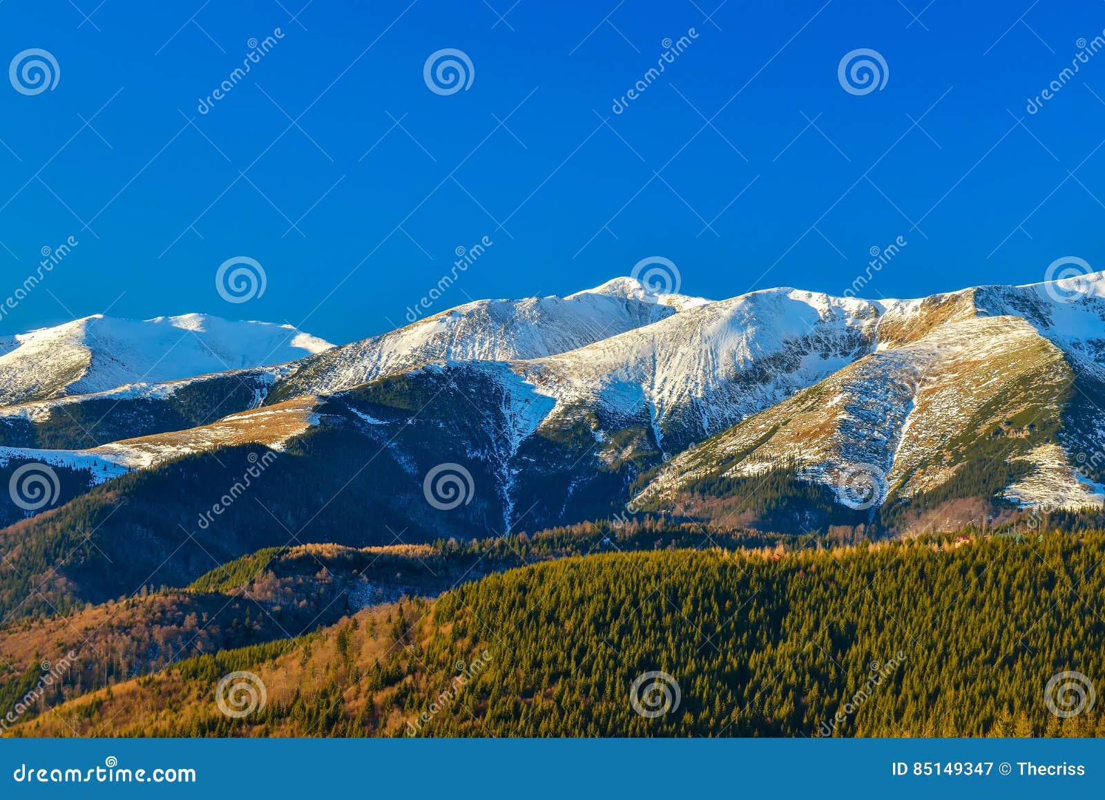 Ranca Ski Resort in the Parang Mountains, Romania Stock Image - Image ...