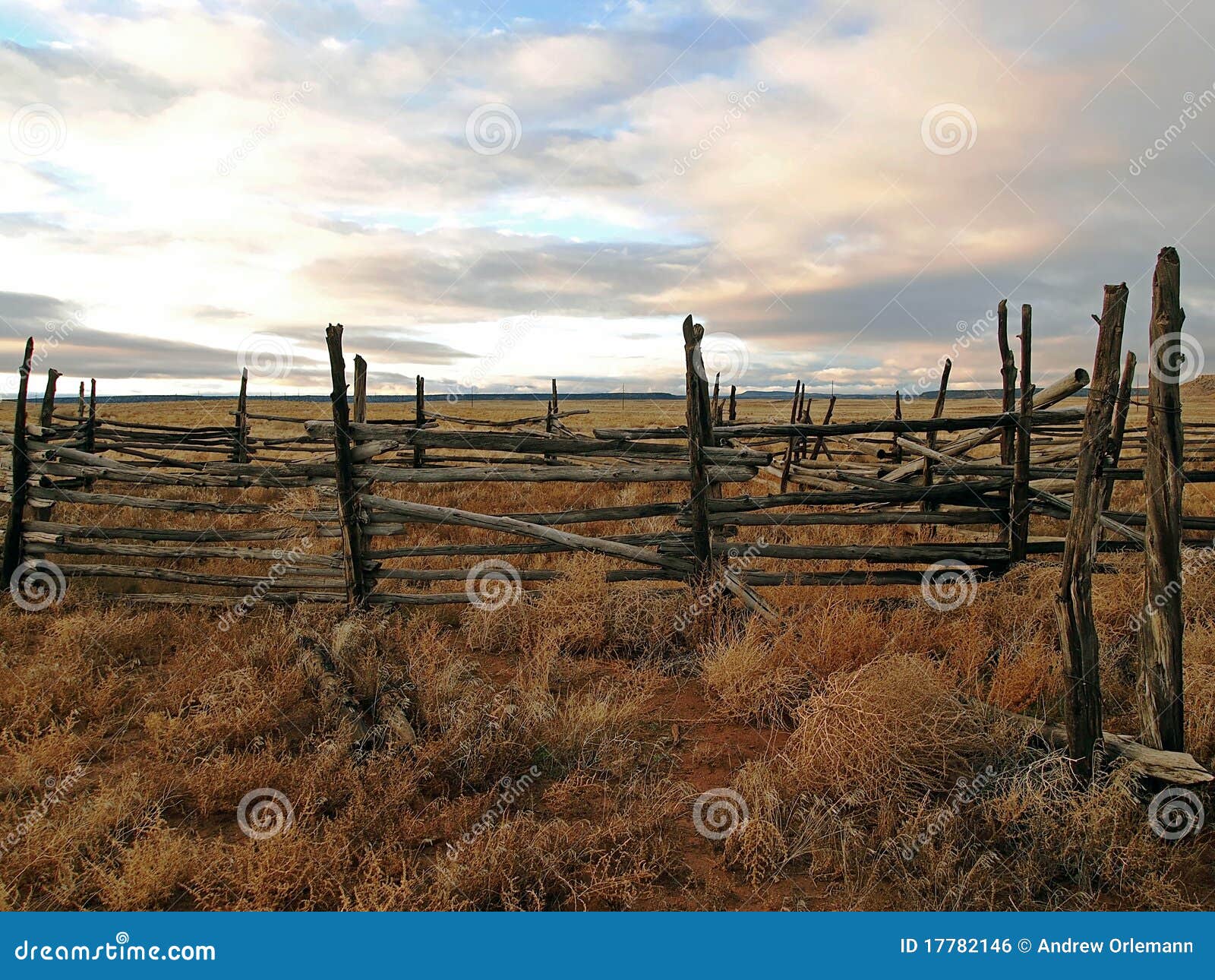 Ranch stock photo. Image of agriculture, fence, ranch - 17782146
