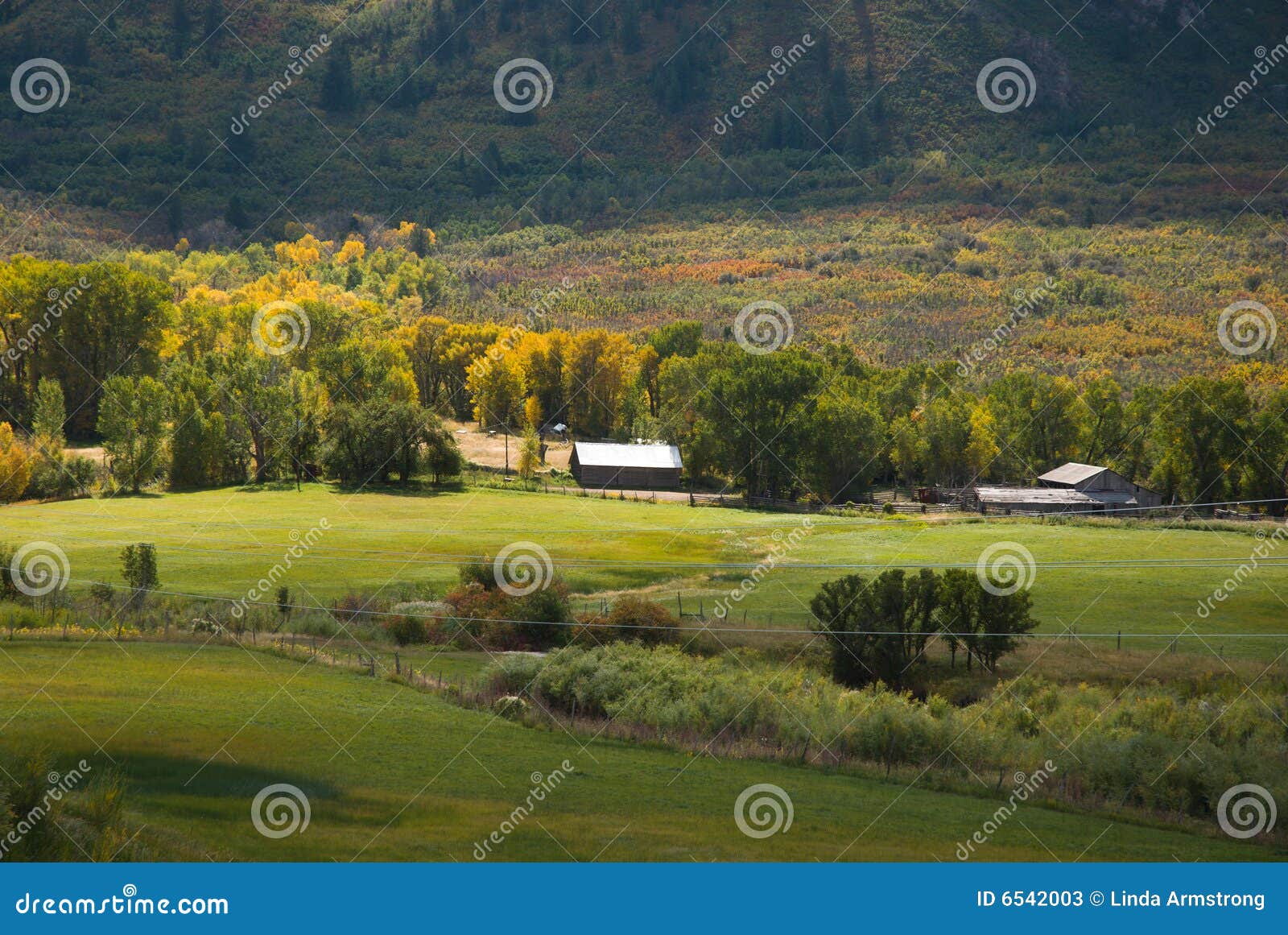 Ranch stock image. Image of copse, byway, ranch, colorado - 6542003