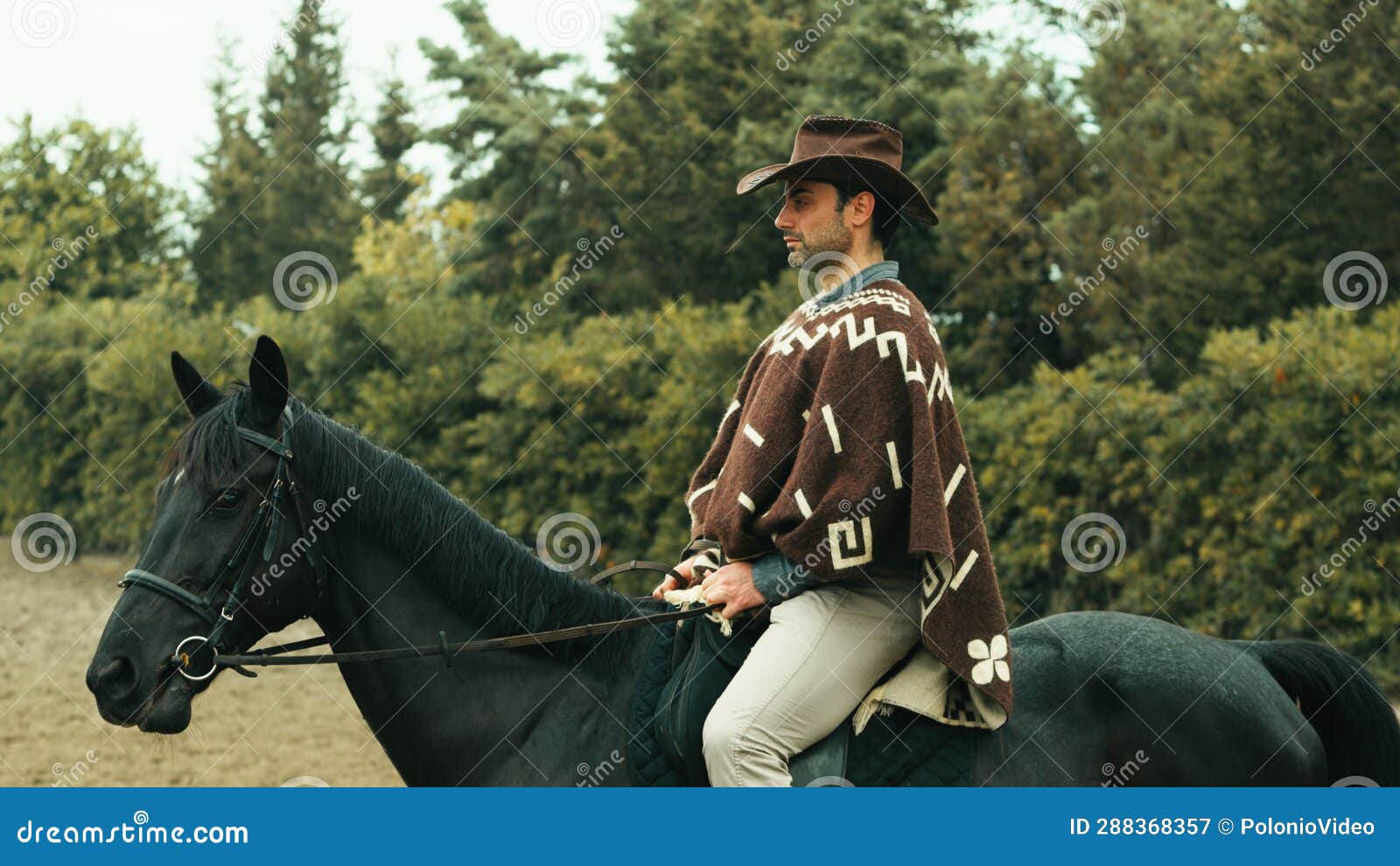 In the Ranch Cowboy and Black Horse Stock Image - Image of classic ...