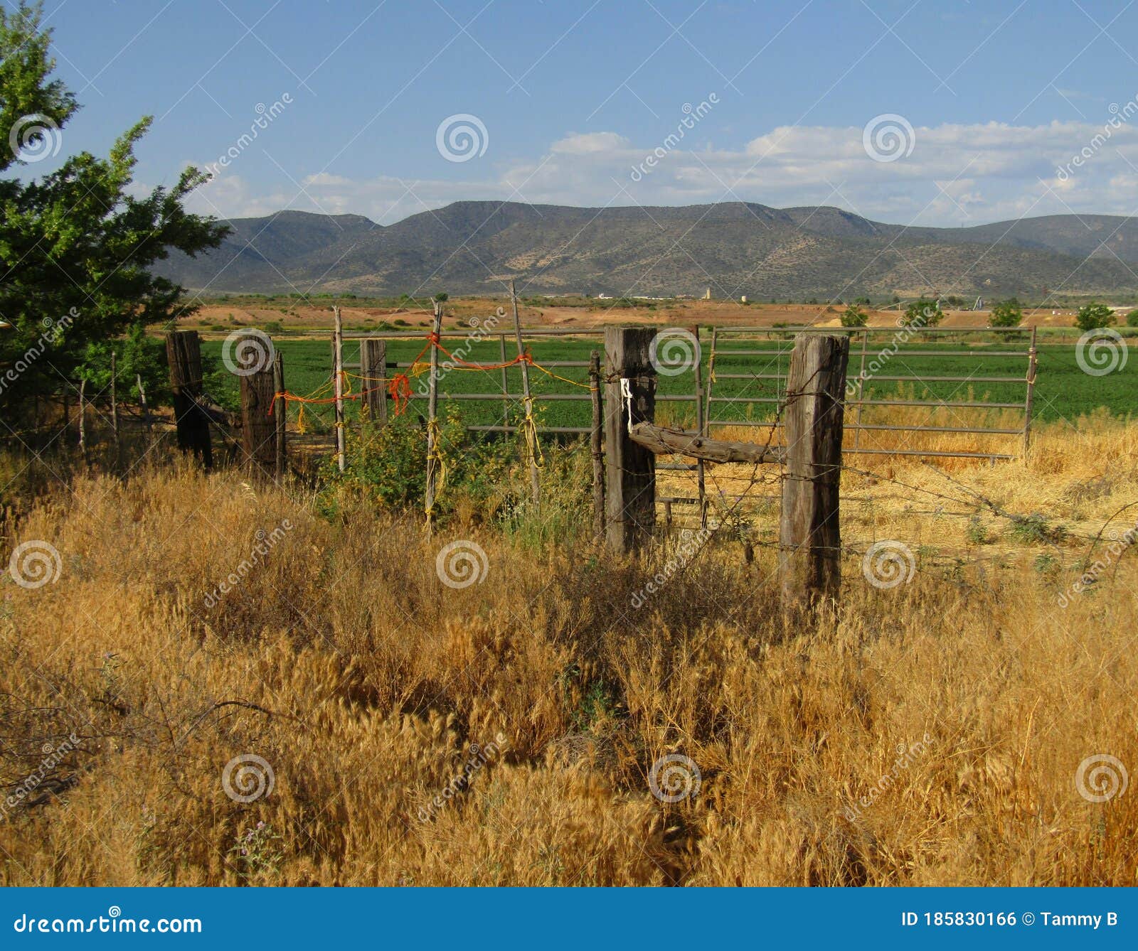 Ranch Fence and Gate on Scenic Farmland Stock Photo - Image of scenic ...