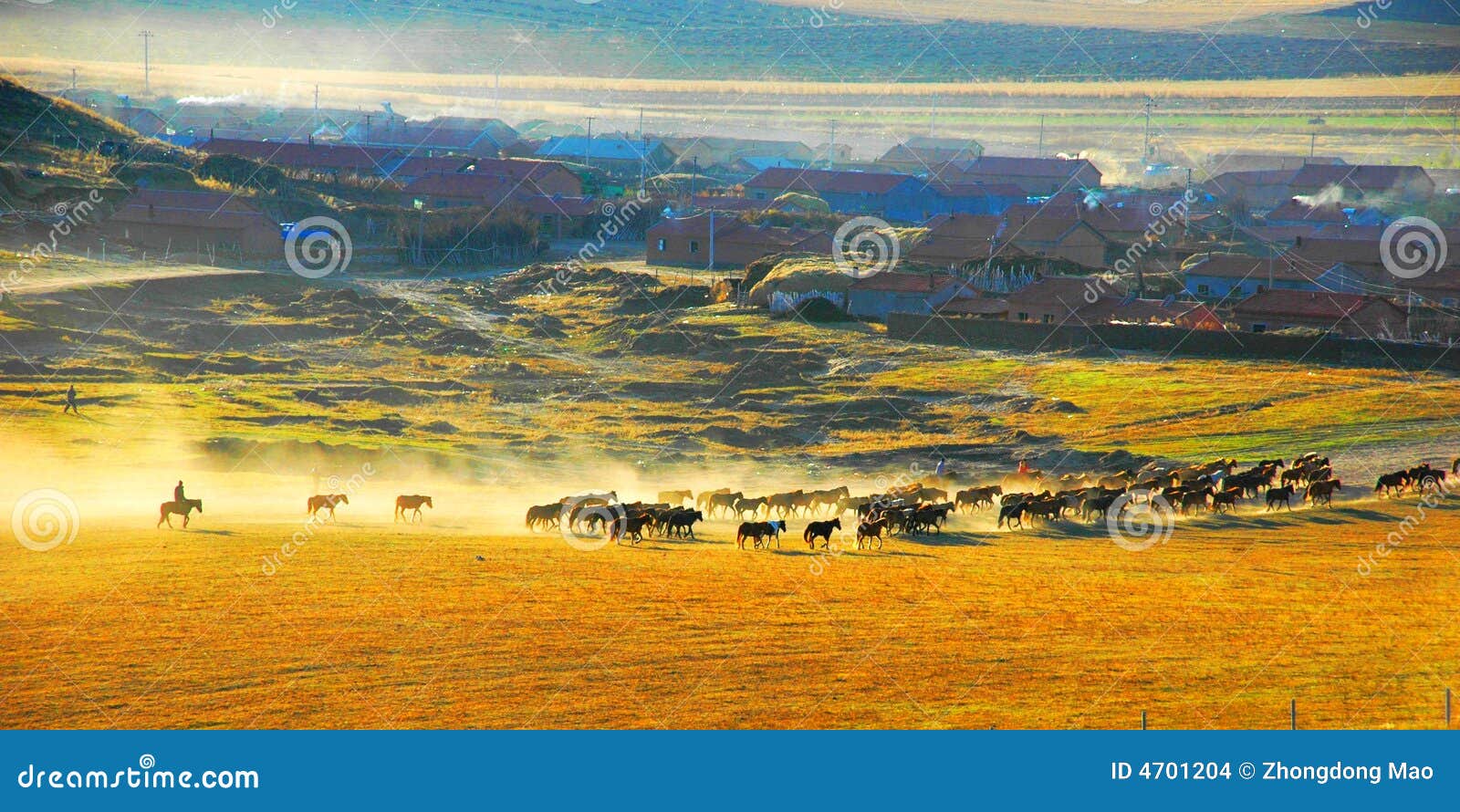 Ranch good morning stock photo. Image of horse, china - 4701204
