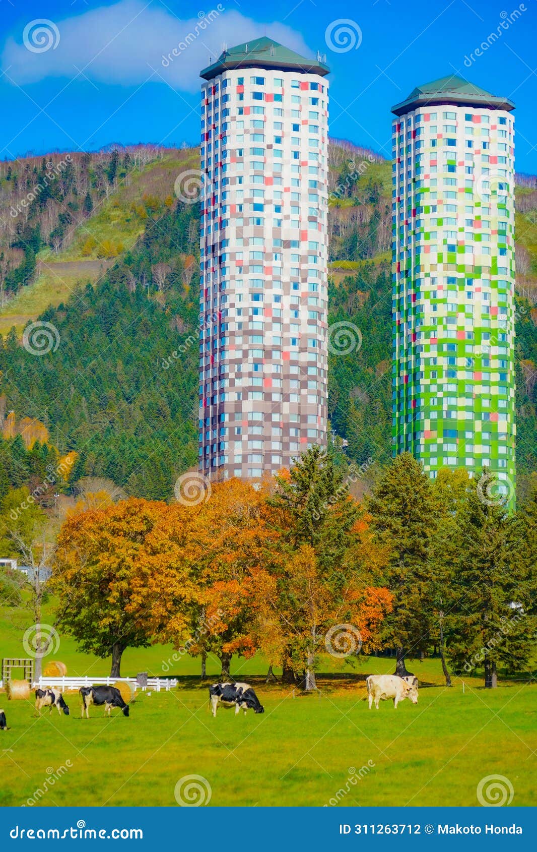 Ranch high -rise buildings stock photo. Image of environment - 311263712