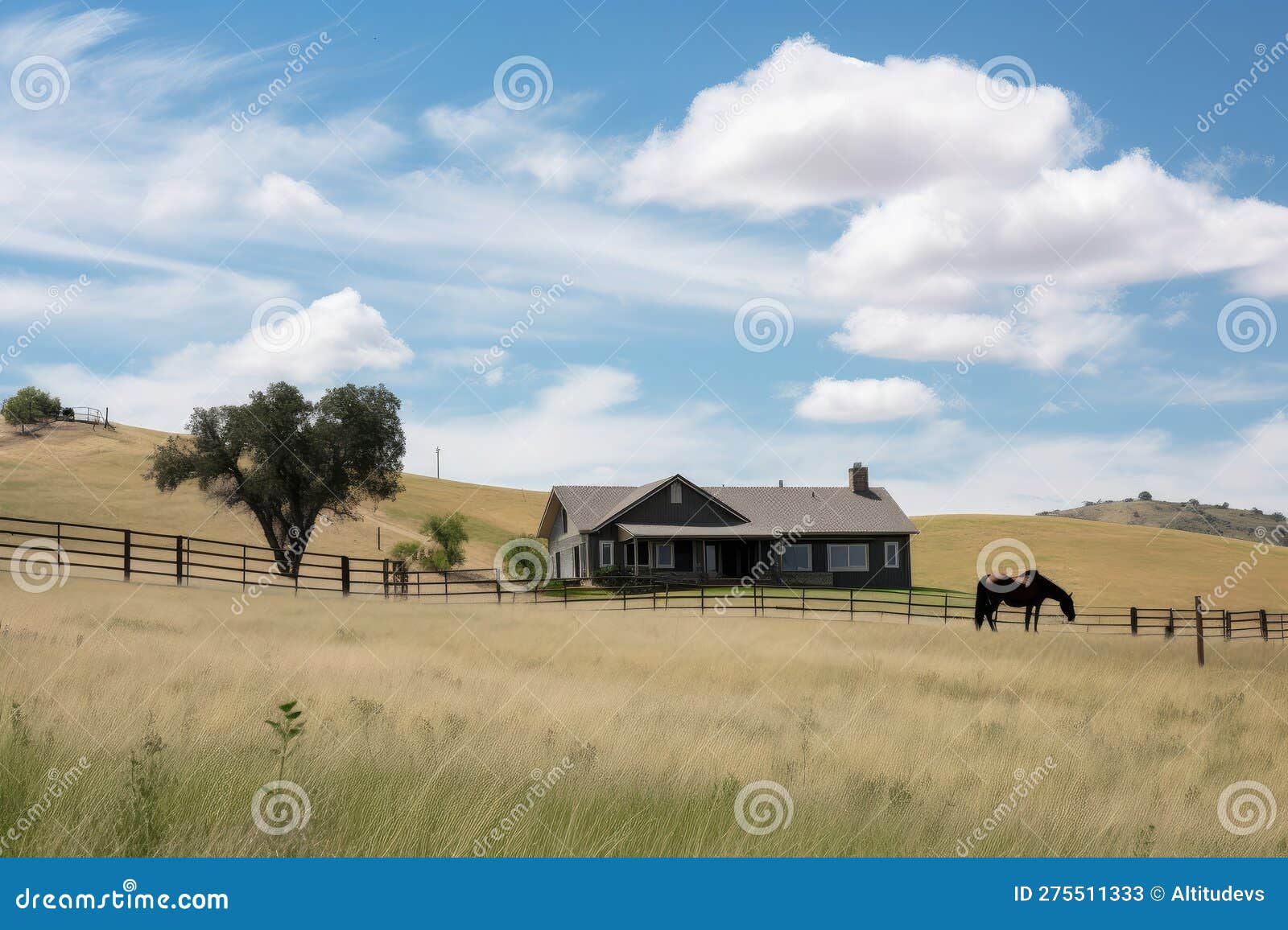 Ranch House with View of Rolling Hills and Fields, with Horse and ...