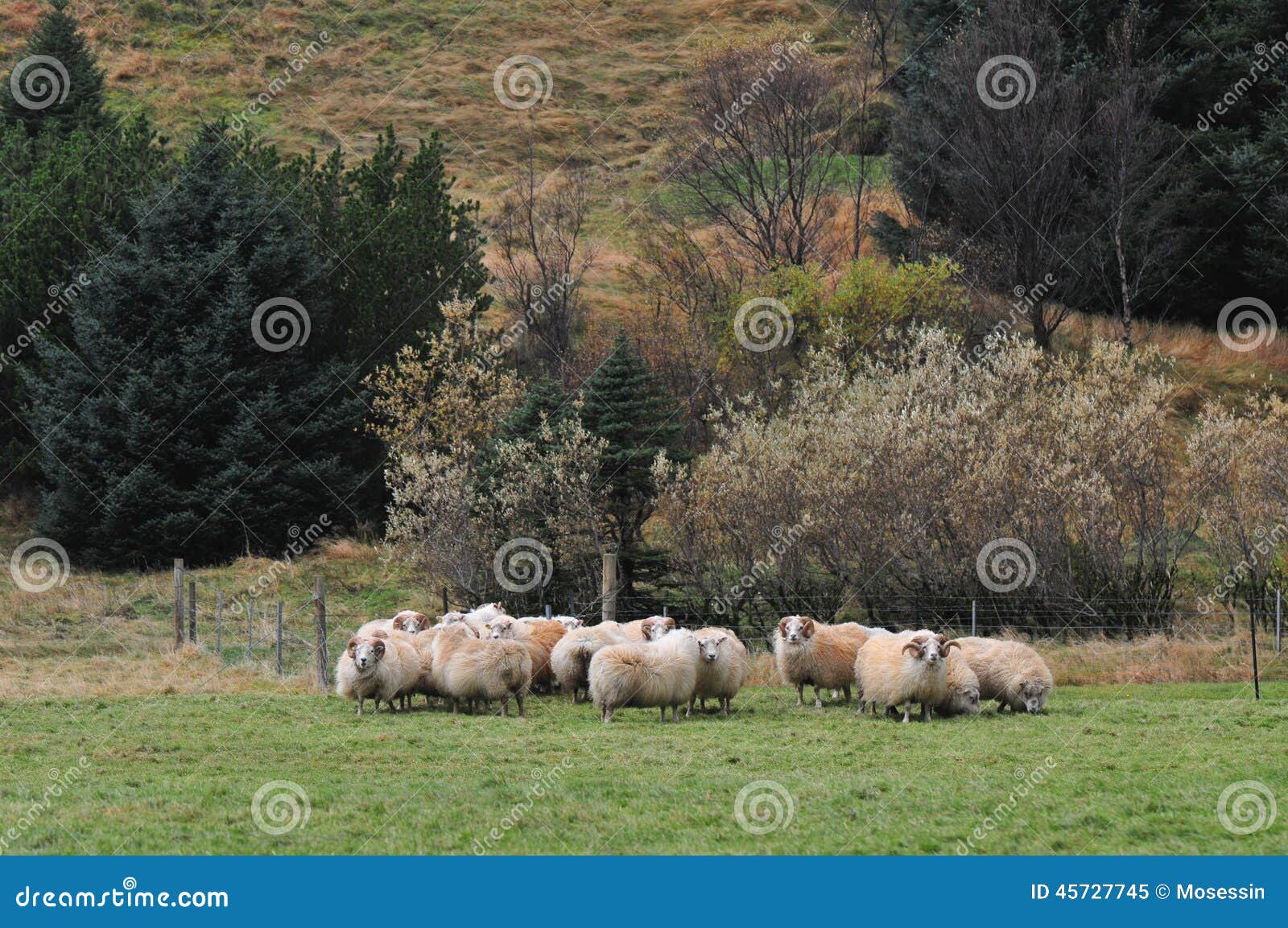 Ranch stock image. Image of country, europe, drop, backyard - 45727745