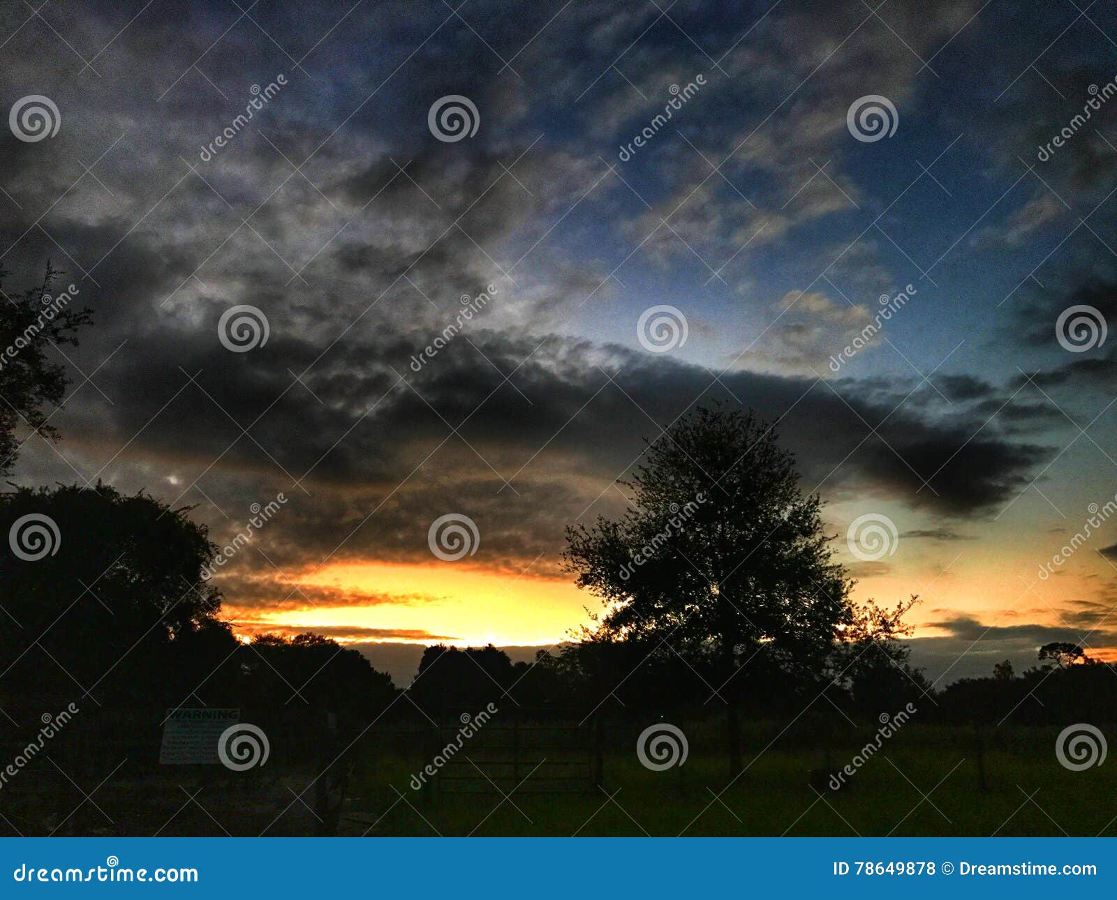 Ranch sunset stock photo. Image of tree, sunset, central - 78649878