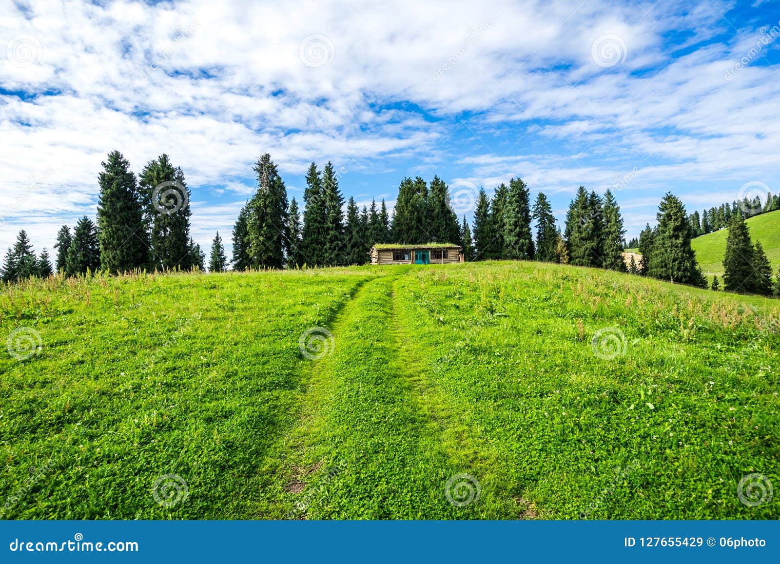 Grassland in China stock image. Image of grassland, environment - 127655429