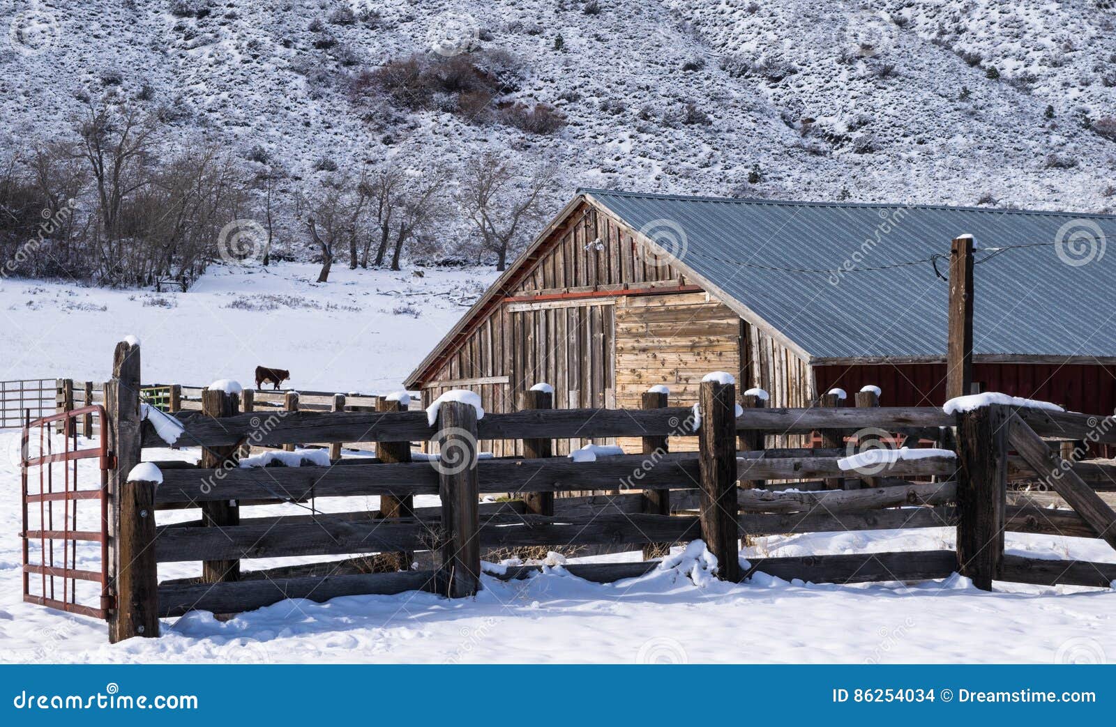 Ranch in Winter stock photo. Image of agriculture, fence - 86254034