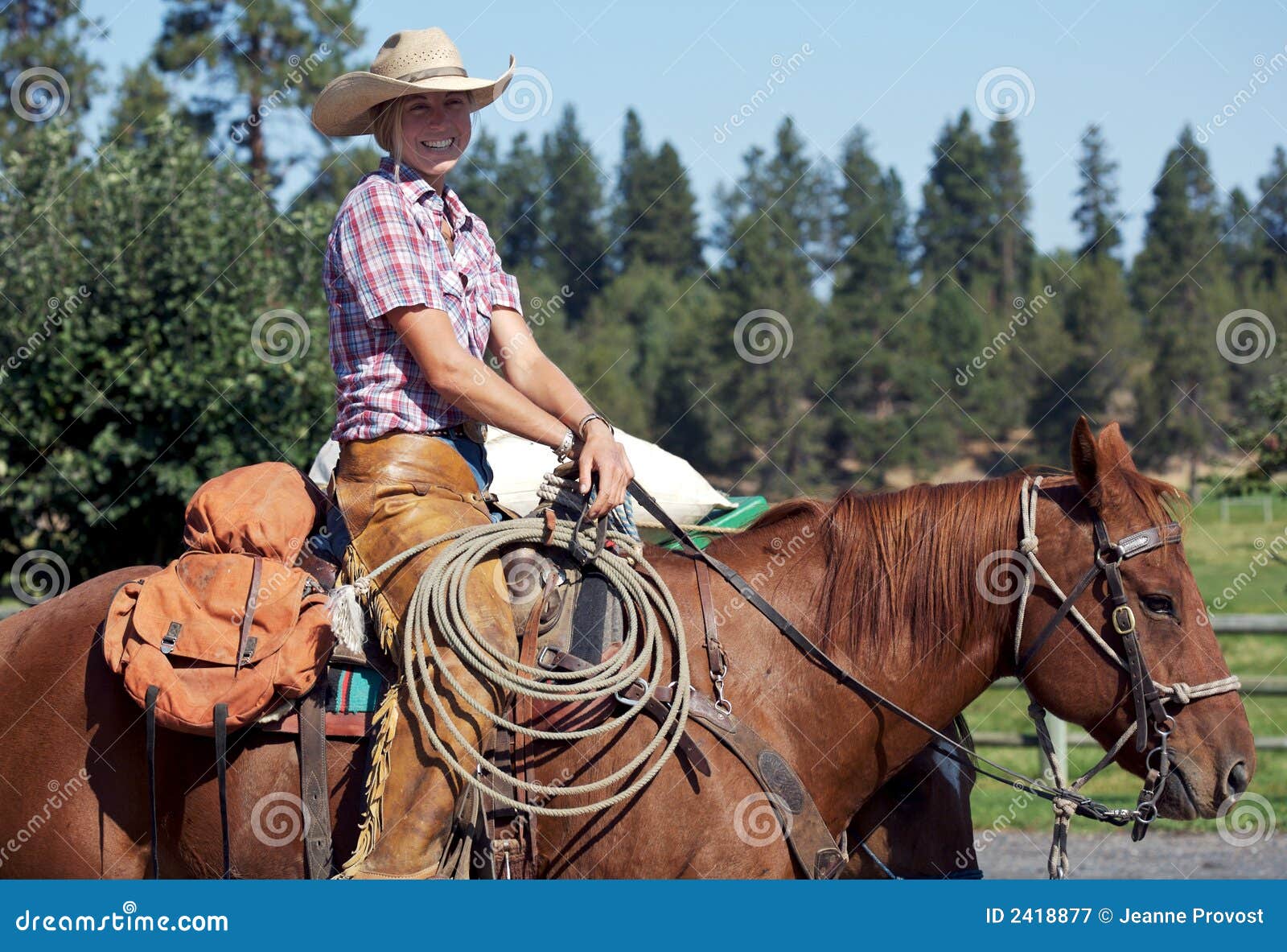 Ranchero feliz imagen de archivo. Imagen de feliz, animal - 2418877
