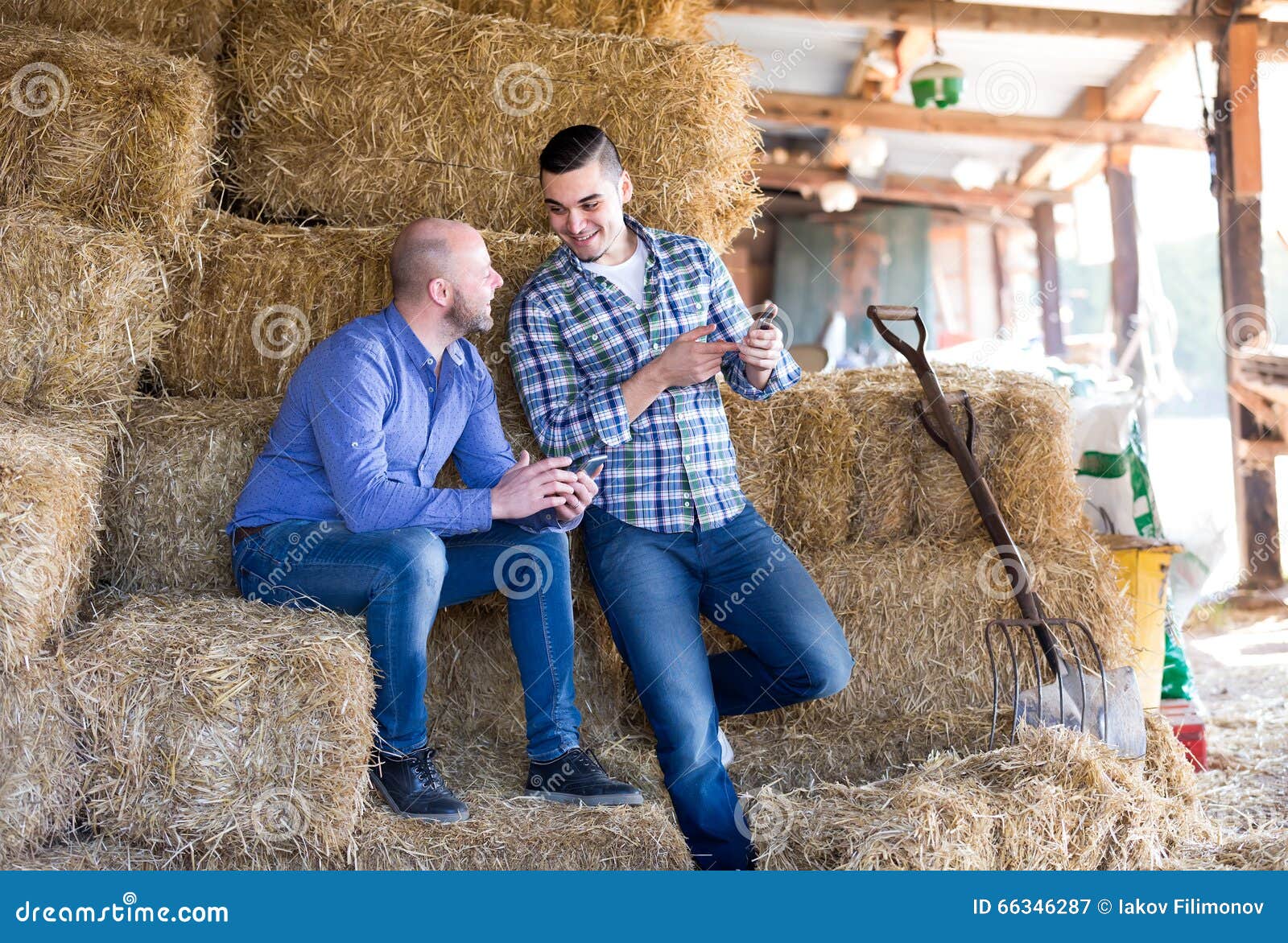 Ranchers Resting on a Stack of Hay Stock Image - Image of employee ...
