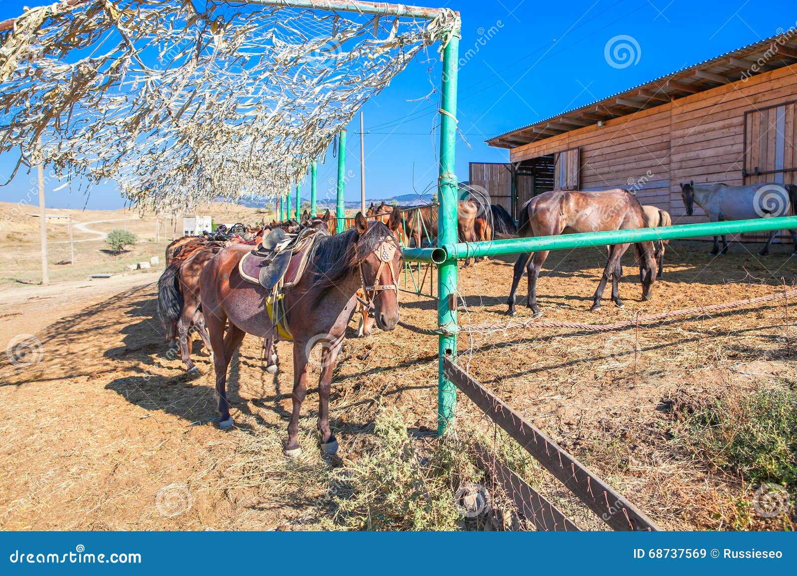 Rancho Con Los Caballos Hermosos Imagen de archivo - Imagen de grupo ...