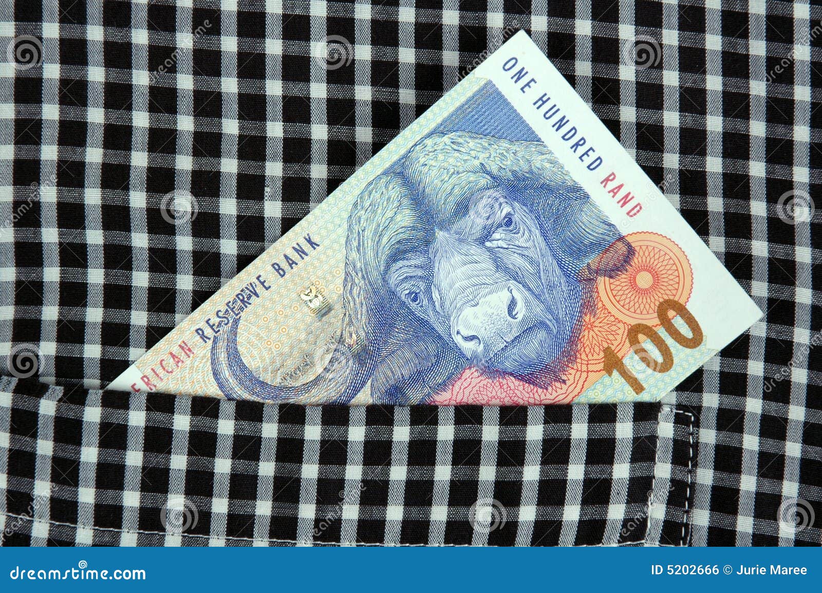 Rand stock photo. Image of textile, rand, wear, currency - 5202666