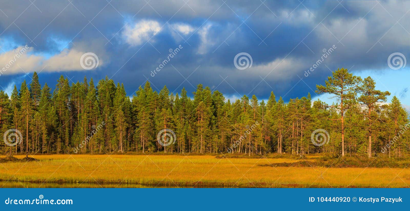 Rand Van Het Bos En Op De Rand Van Het Meer Stock Foto - Image of nave ...
