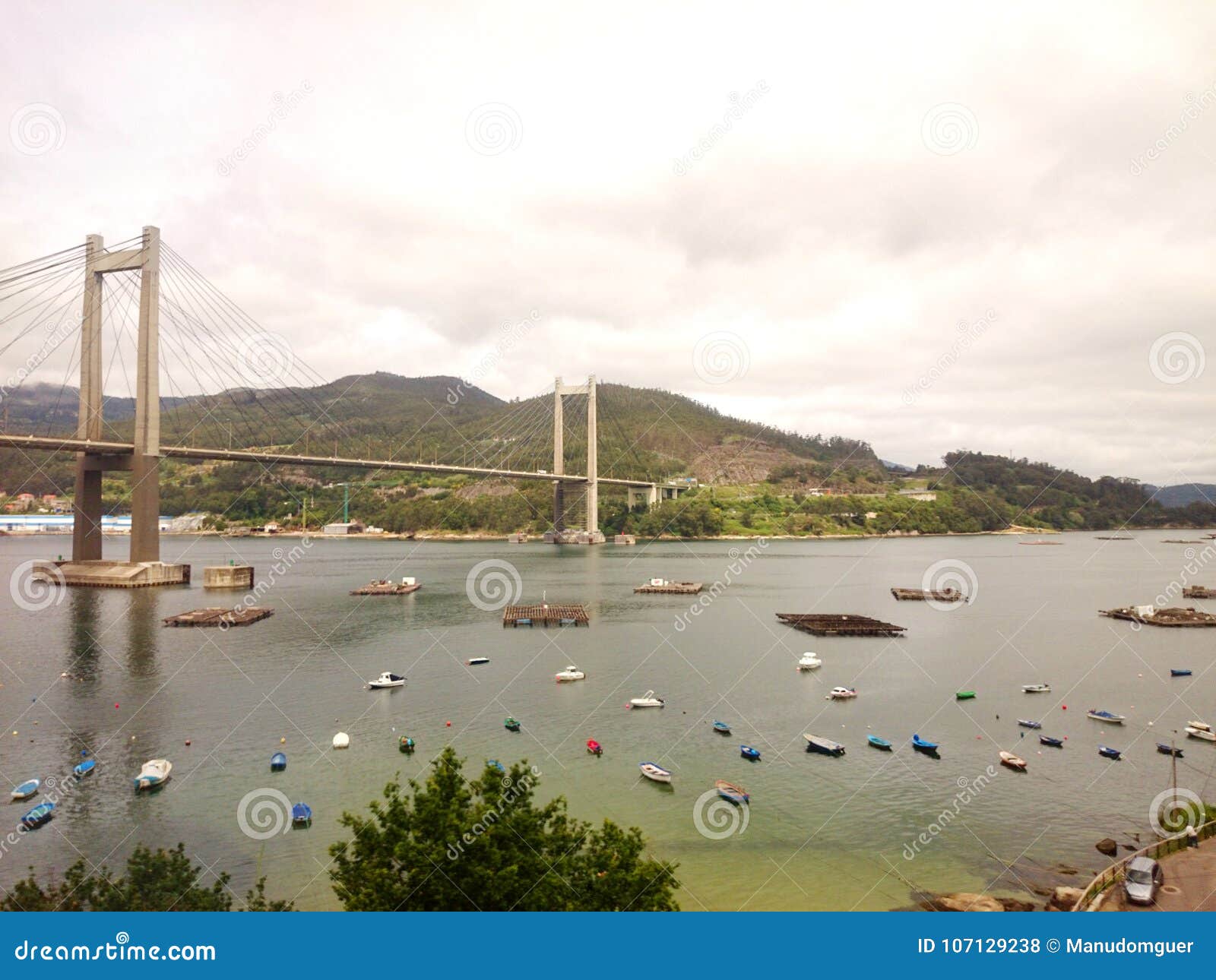 Rande Bridge in Vigo, Spain Stock Photo - Image of connect, cities ...
