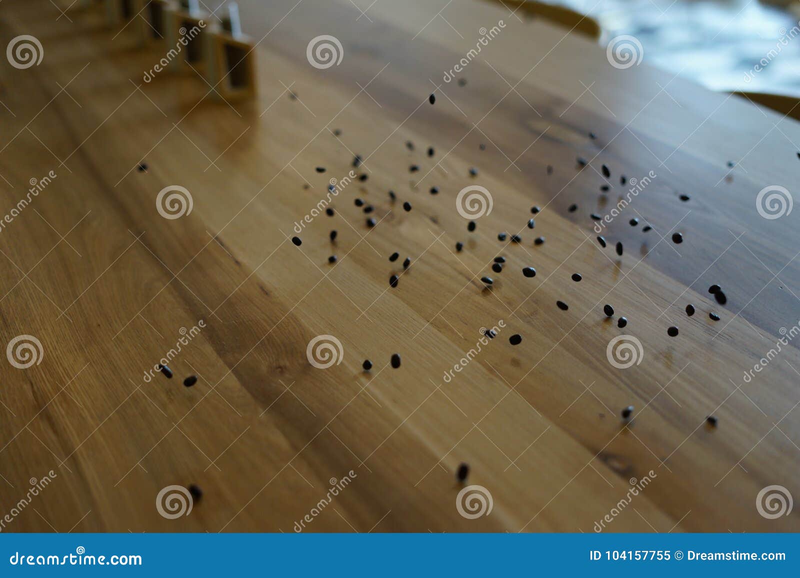 Random beans jumping table stock image. Image of black - 104157755