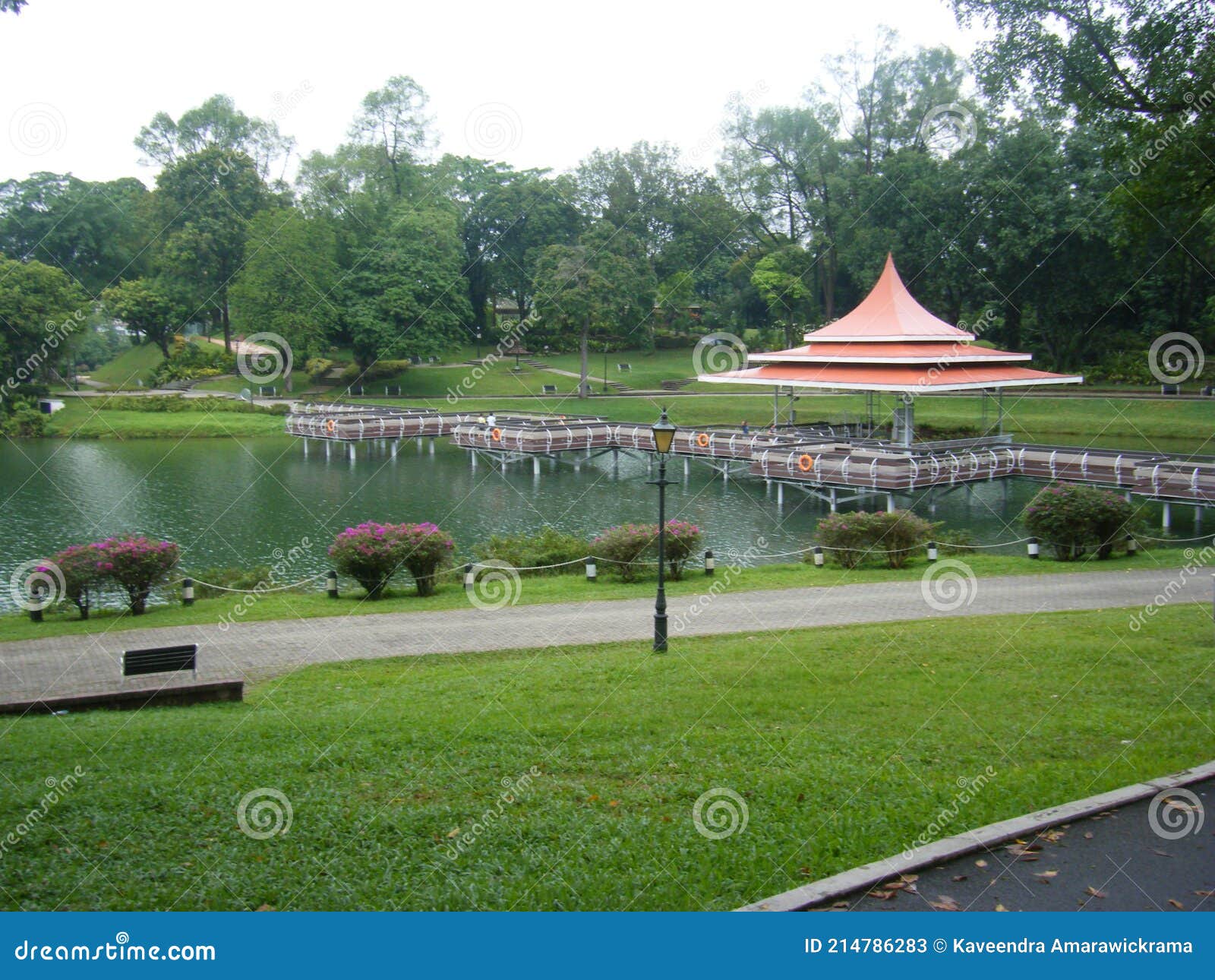 Random Capture of a Park in Singapore Stock Image - Image of ...