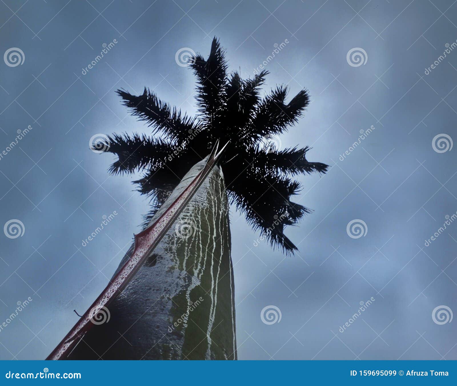 Random click stock image. Image of click, perspective - 159695099