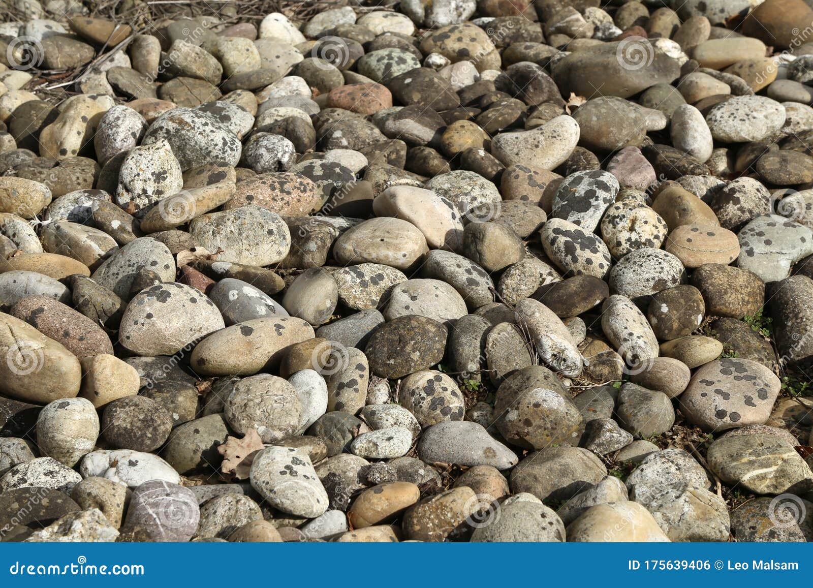 Random Close Up of Some Multi Colored Pebbles Stock Photo - Image of ...