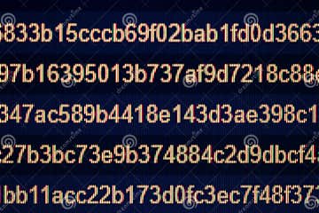 Random computer code stock photo. Image of data, digital - 114806792