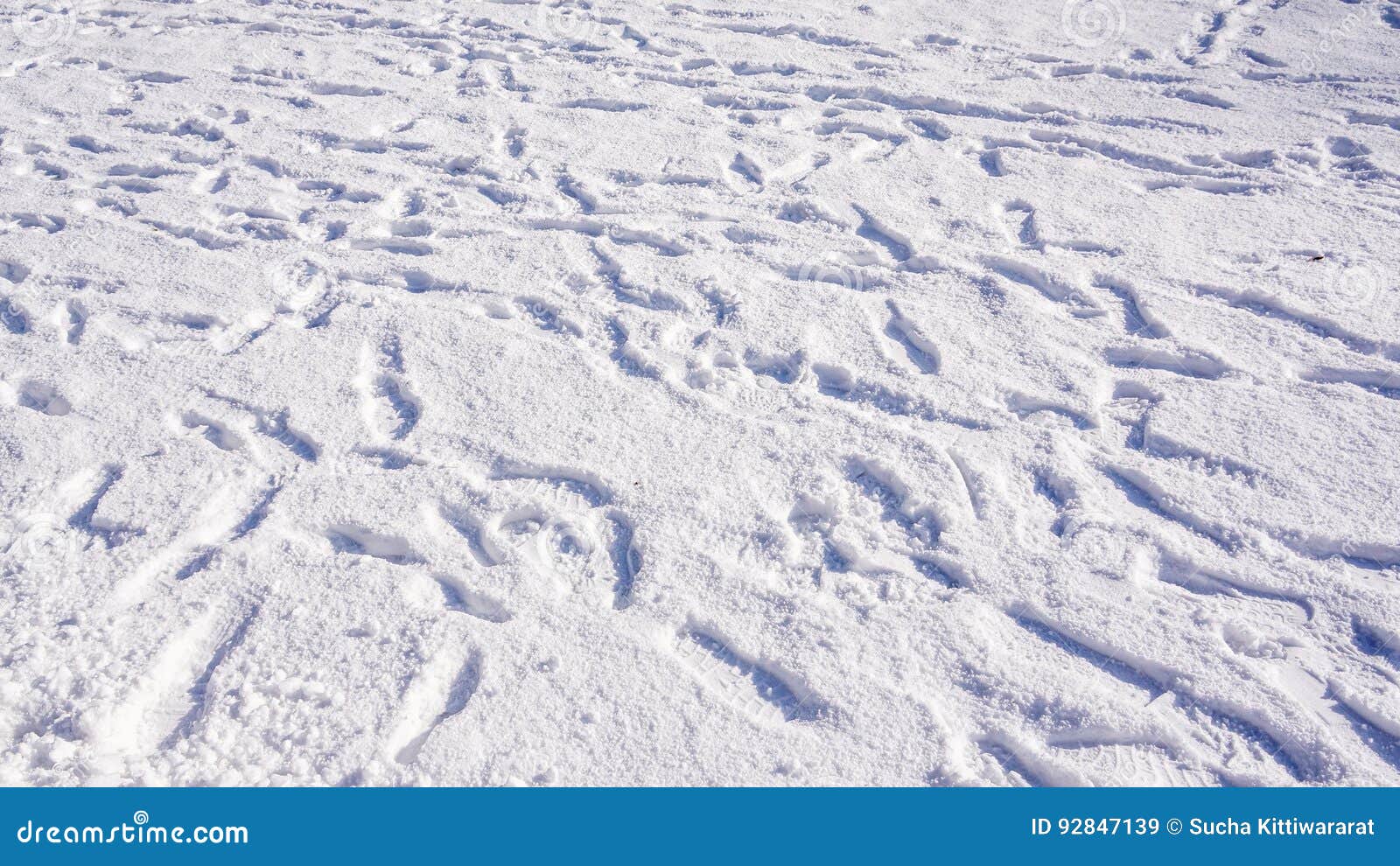 Random Direction Footprints on Snow Stock Image - Image of frozen ...
