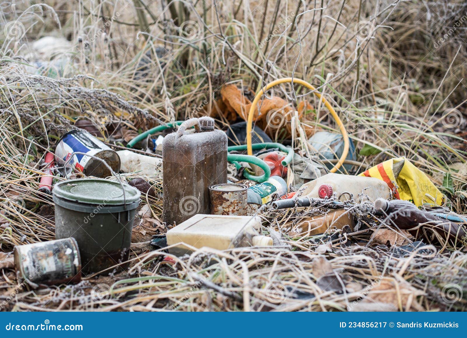 Random Garbage Junk Items Left in Nature, Forest Stock Image - Image of ...