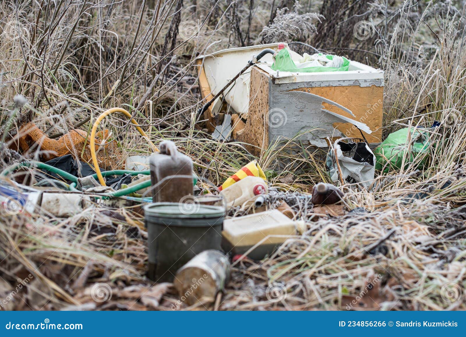 Random Garbage Junk Items Left in Nature, Forest Stock Photo - Image of ...