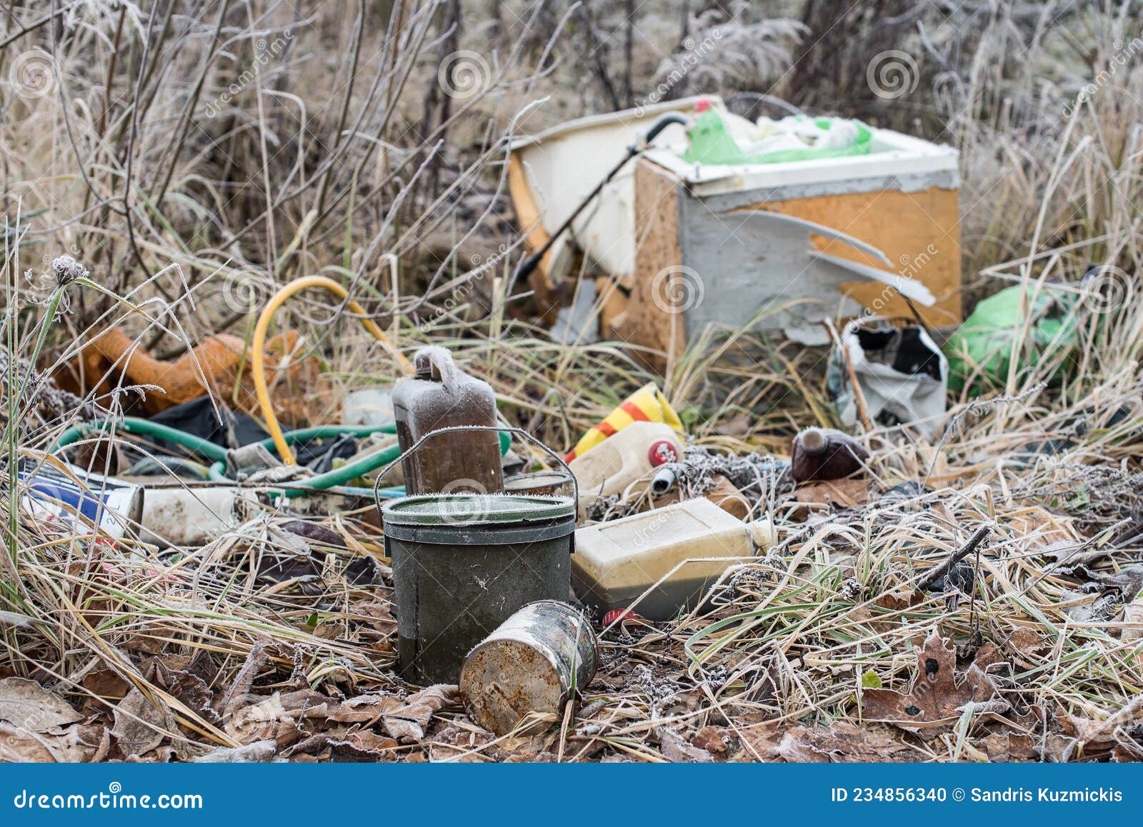 Random Garbage Junk Items Left in Nature, Forest Stock Photo - Image of ...
