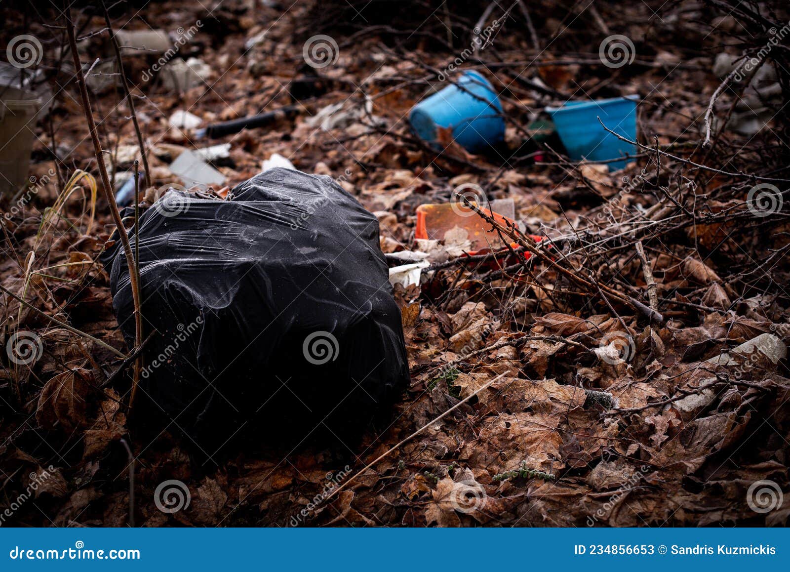 Random Garbage Junk Items Left in Nature, Forest Stock Image - Image of ...