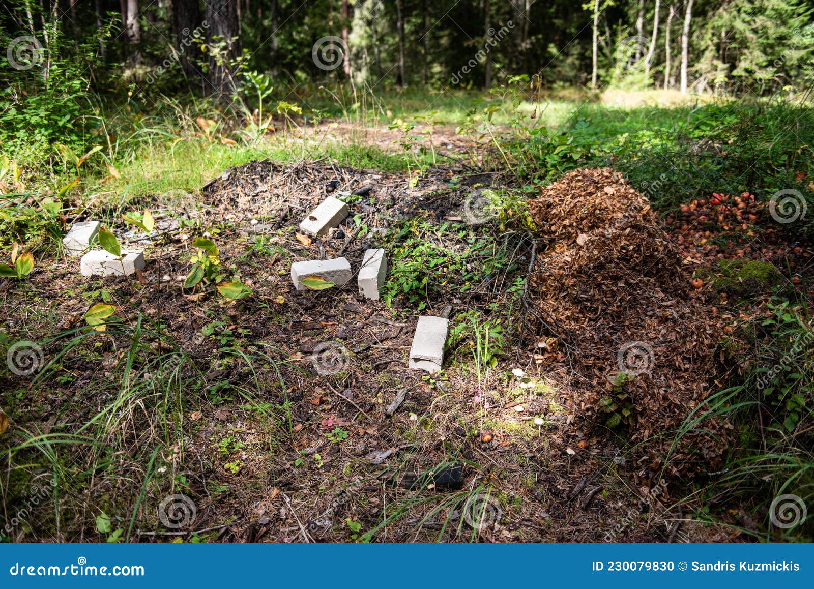 Random Garbage Junk Items Left in Nature and Forests Stock Photo ...