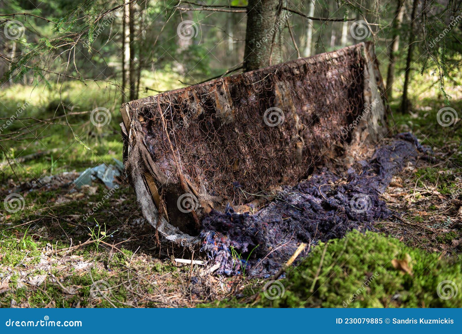 Random Garbage Junk Items Left in Nature and Forests. an Old, Broken ...