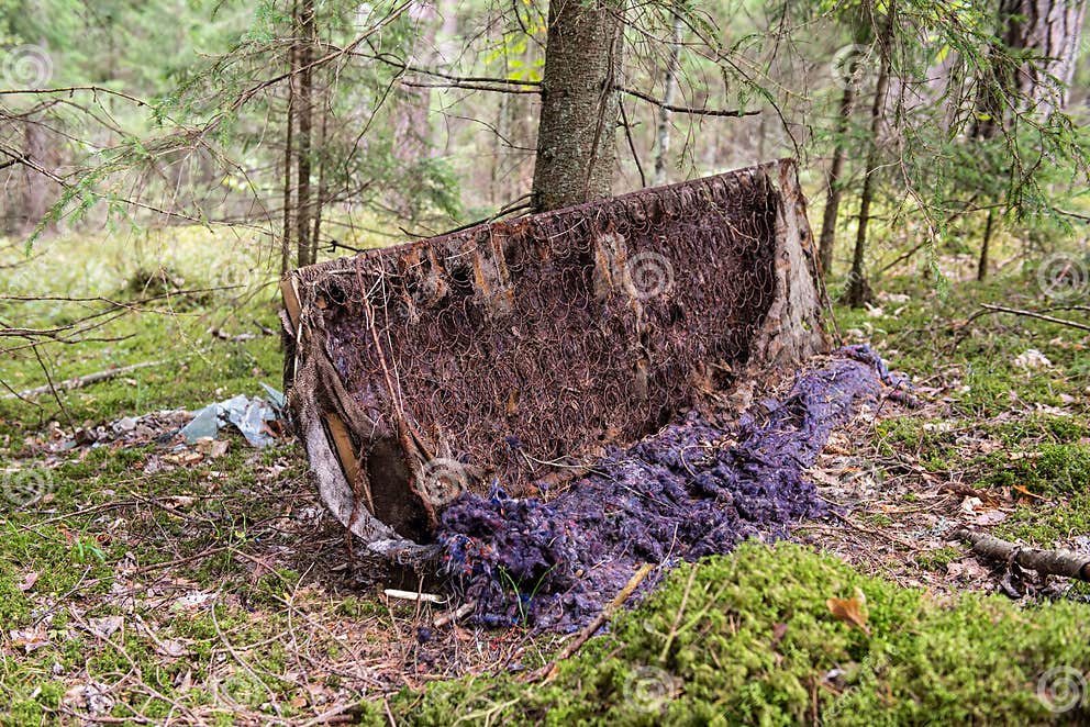 Random Garbage Junk Items Left in Nature and Forests. an Old, Broken ...