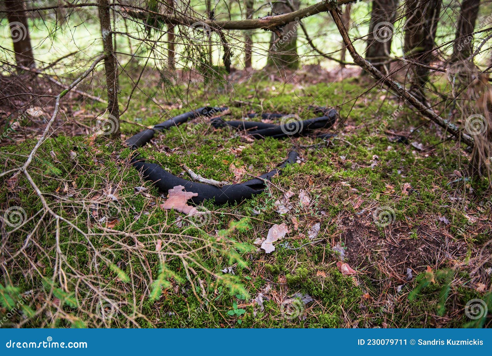 Random Garbage Junk Items Left in Nature and Forests. Old Rubber Hose ...