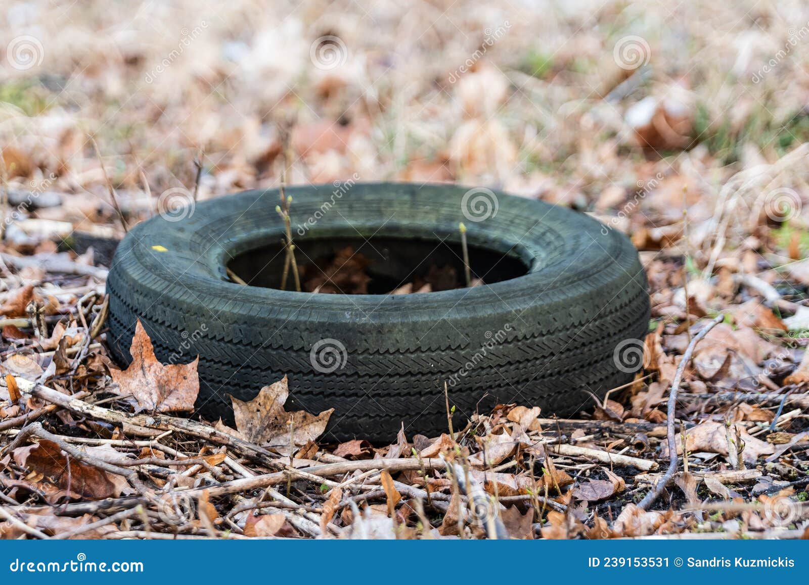 Random Garbage Junk Items Left in Nature and Forests. Old Tire Stock ...