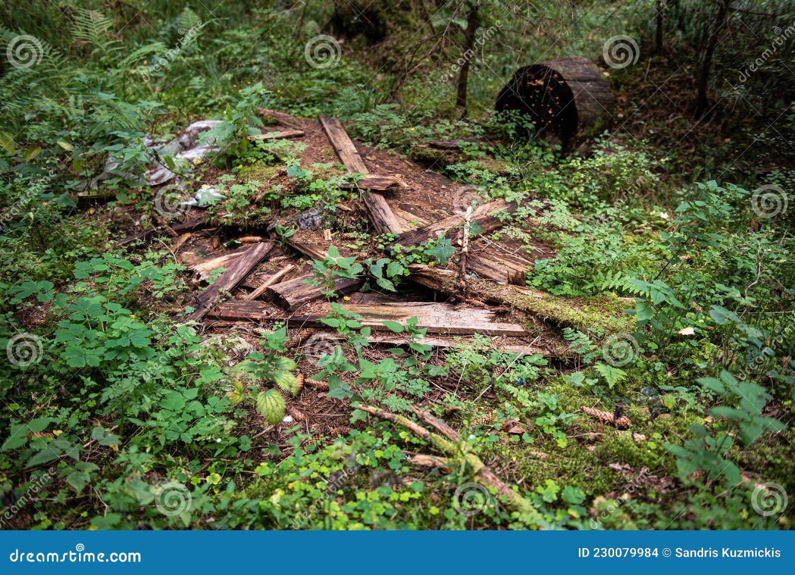Random Garbage Junk Items Left in Nature and Forests. Old Wooden Boards ...