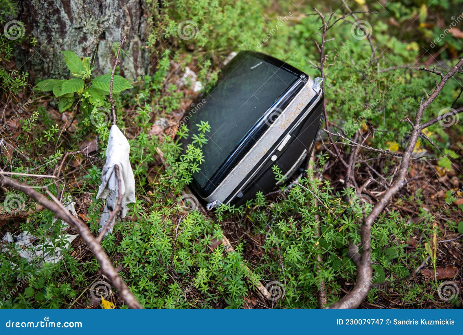 Random Garbage Junk Items Left in Nature and Forests. TV Screen Stock ...