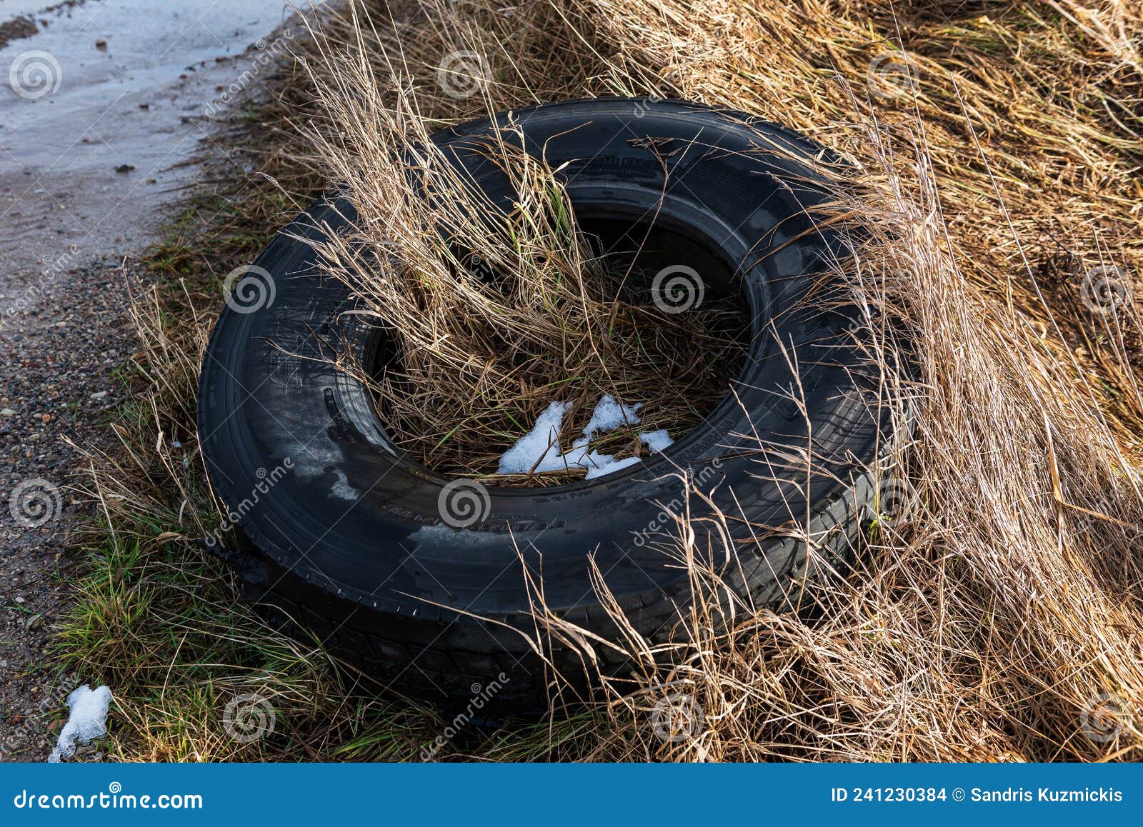 Random Garbage Junk Items Left in Nature. Old Tire in Old Grass on ...