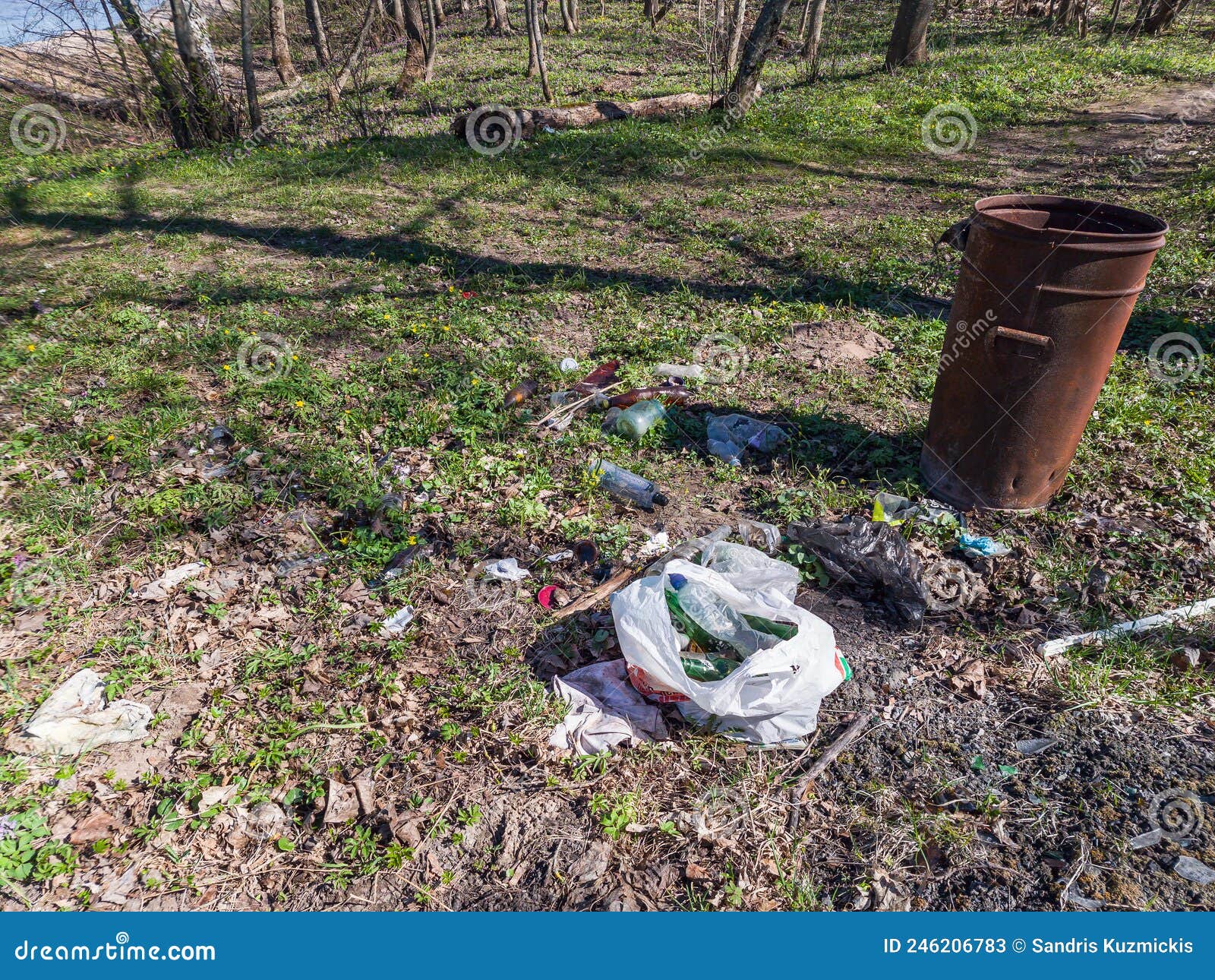 Random Garbage Junk Items Left in Nature, Park, Forest. and Old, Rusty ...