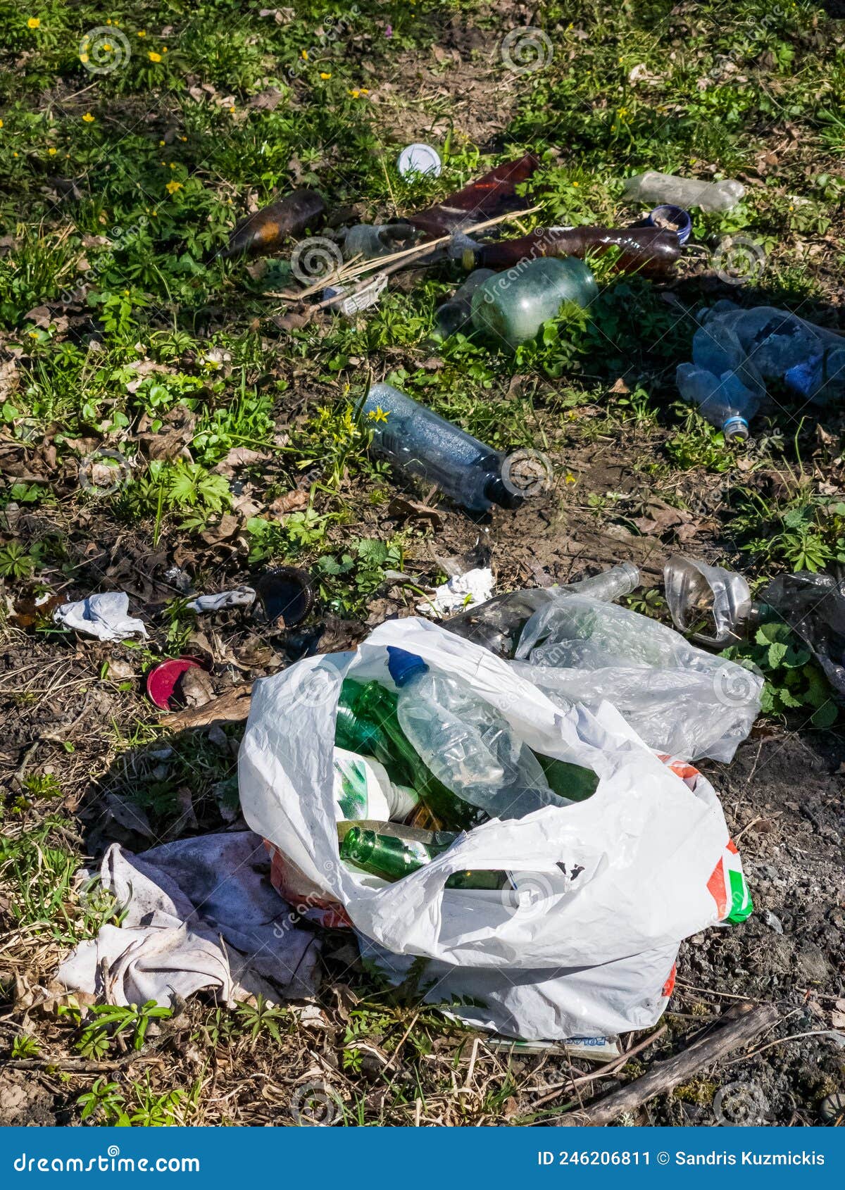 Random Garbage Junk Items Left in Nature, Park, Forest. Sunny Spring ...