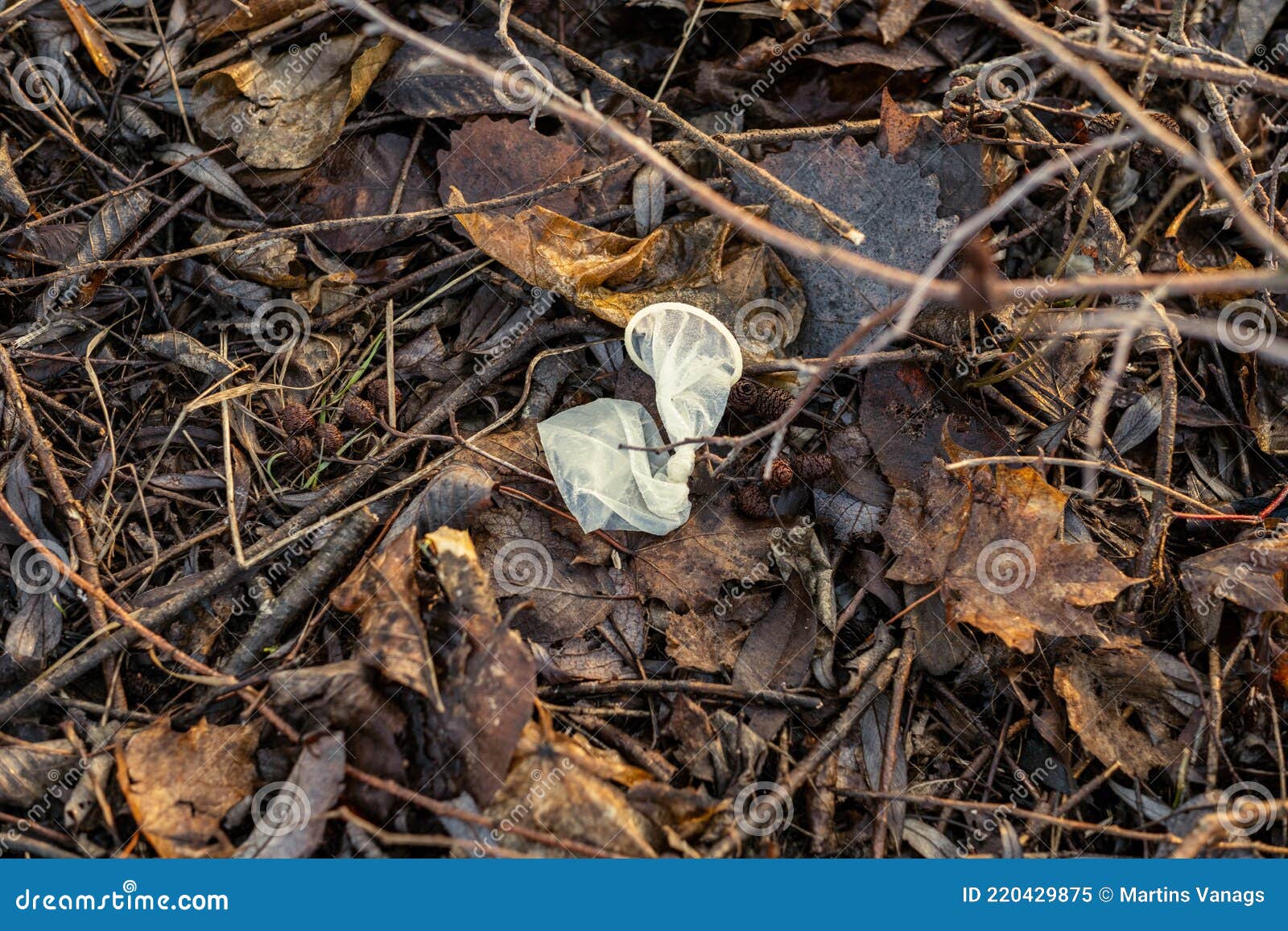 Random Garbage Junk Items Left in Nature Stock Image - Image of rock ...