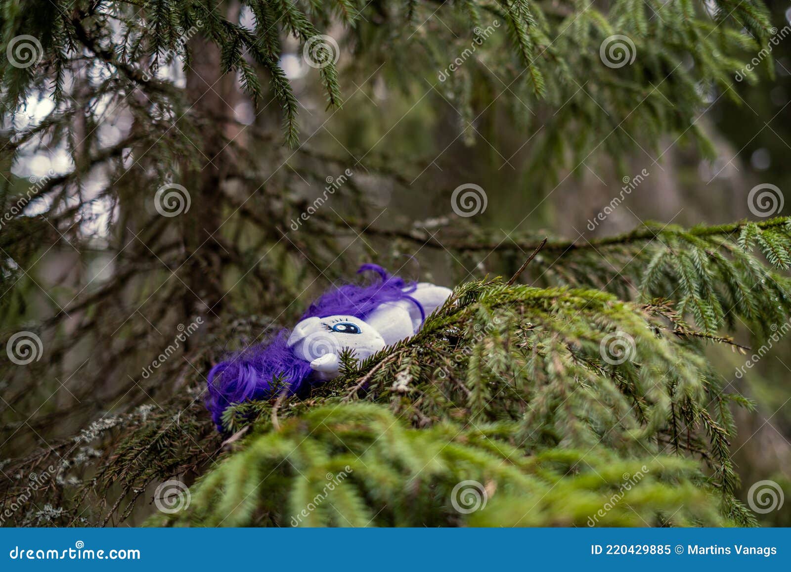 Random Garbage Junk Items Left in Nature Stock Image - Image of trails ...
