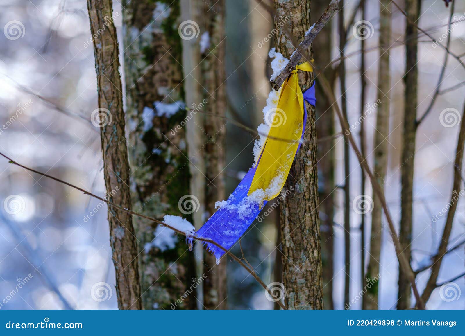 Random Garbage Junk Items Left in Nature Stock Photo - Image of ...
