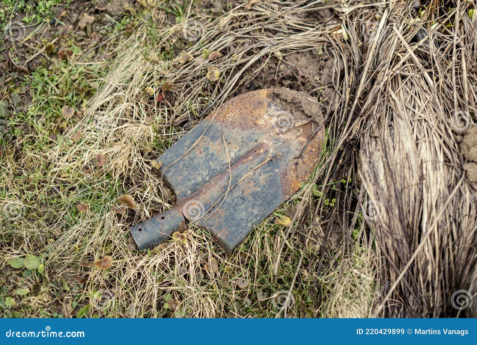 Random Garbage Junk Items Left in Nature Stock Image - Image of nature ...