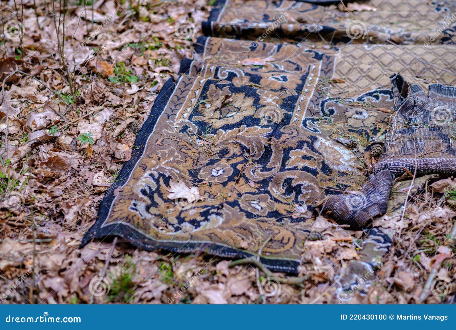 Random Garbage Junk Items Left in Nature Stock Photo - Image of twig ...